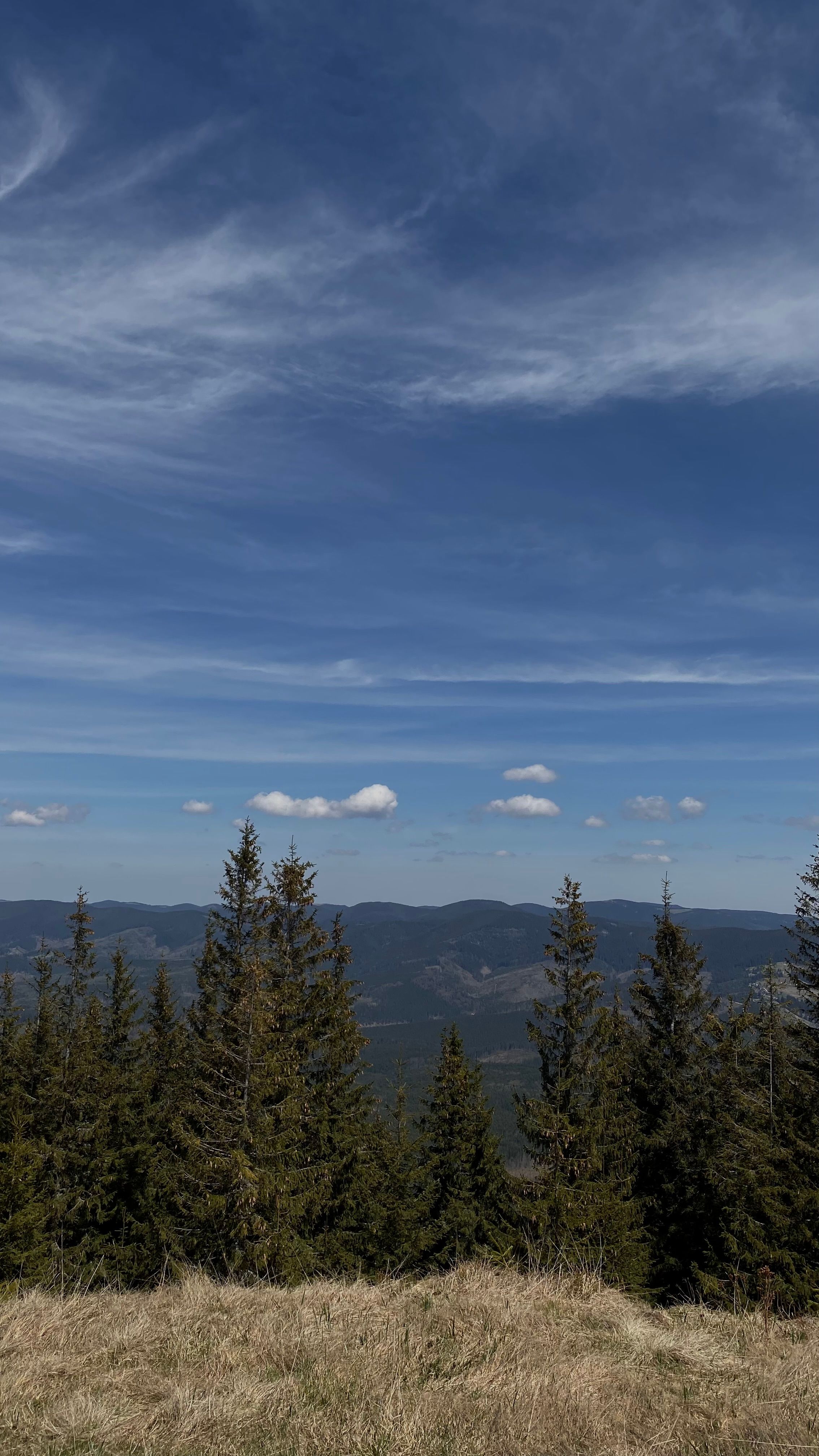 Vertical Panorama of a Mountain Landscape · Free Stock Photo