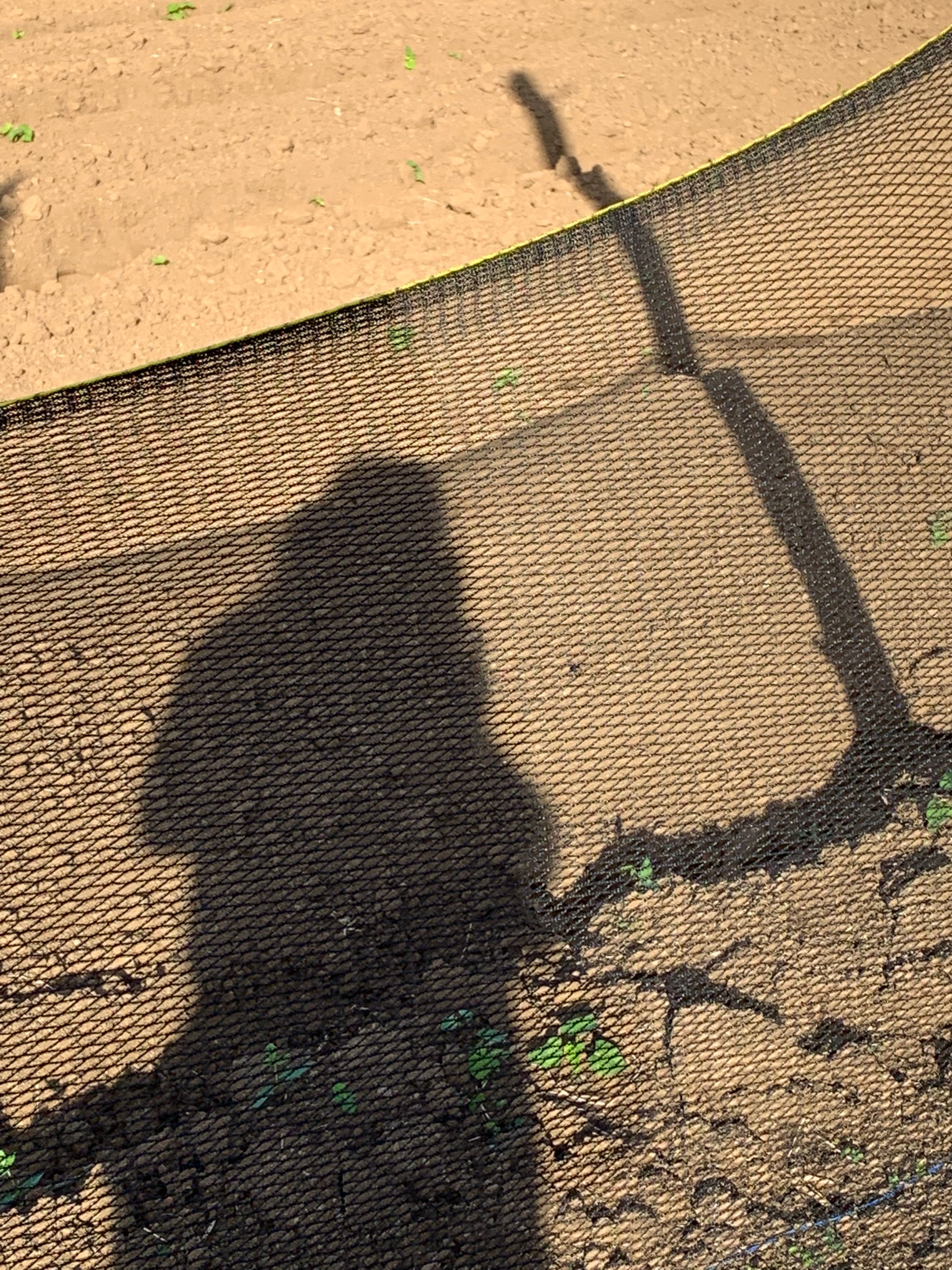 A Shadow on Sand · Free Stock Photo