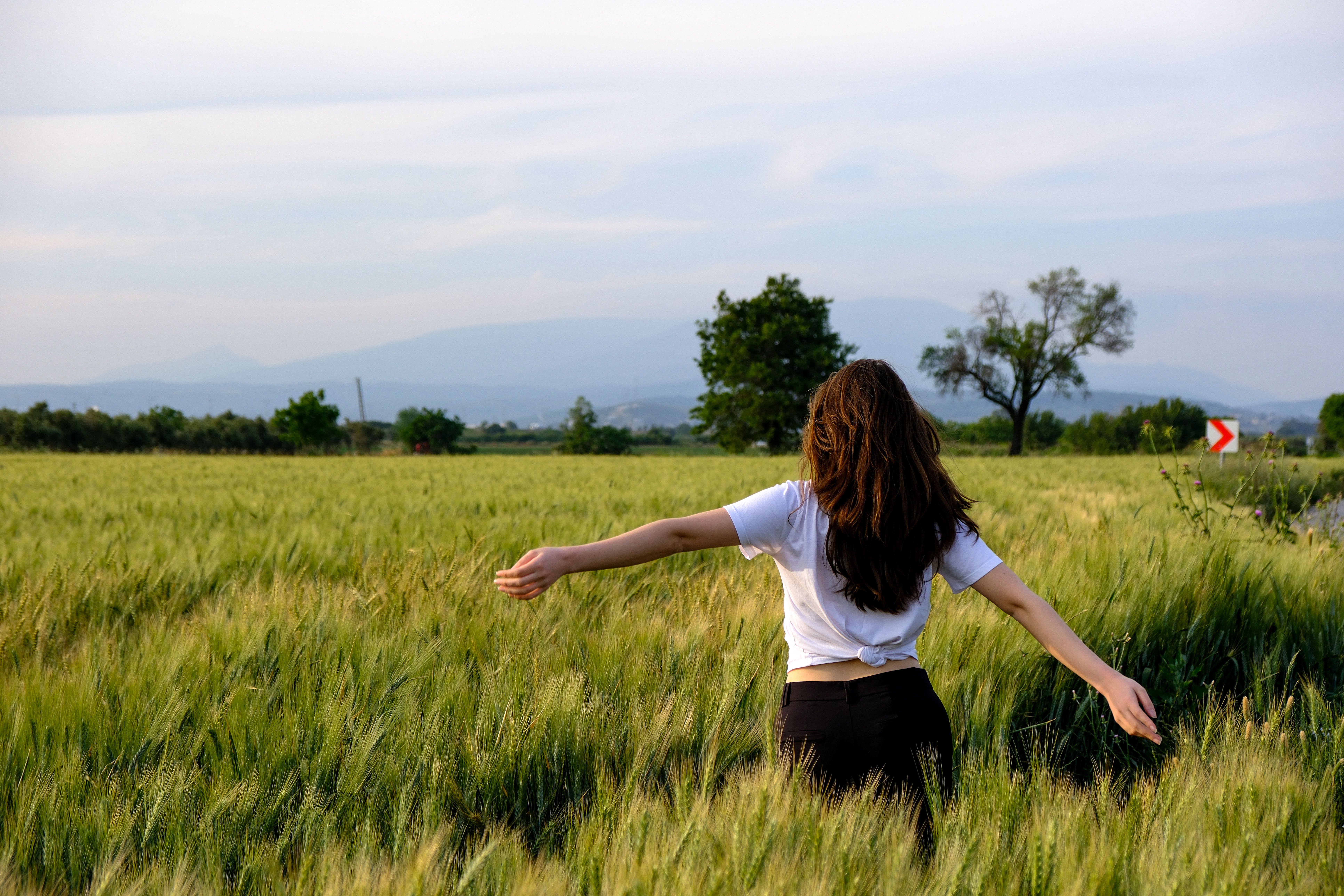 Back View of a Woman Standing on a Field with Spread Arms · Free Stock ...