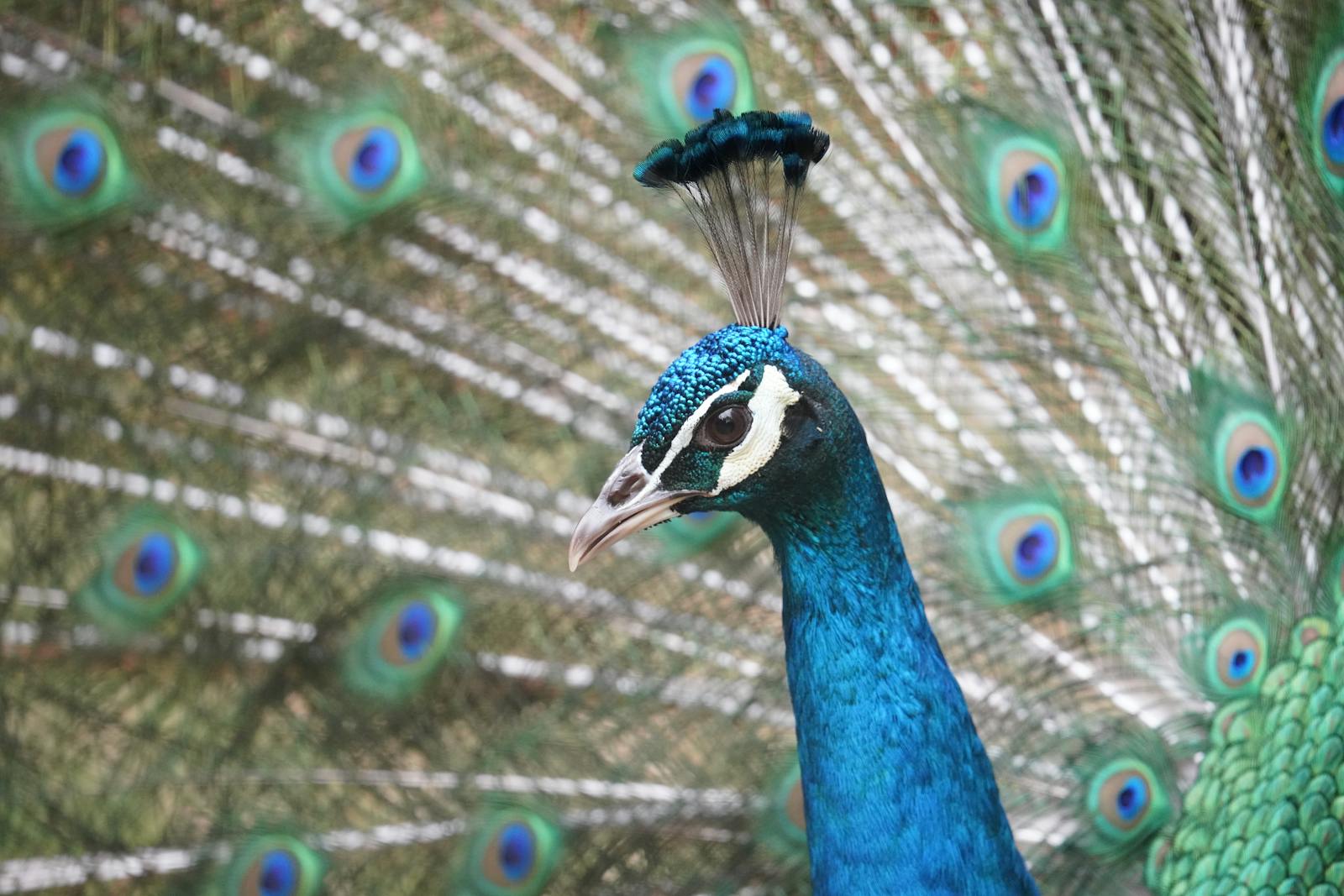 10+张最精彩的“Insight”图片 · 100%免费下载 · Pexels素材图片