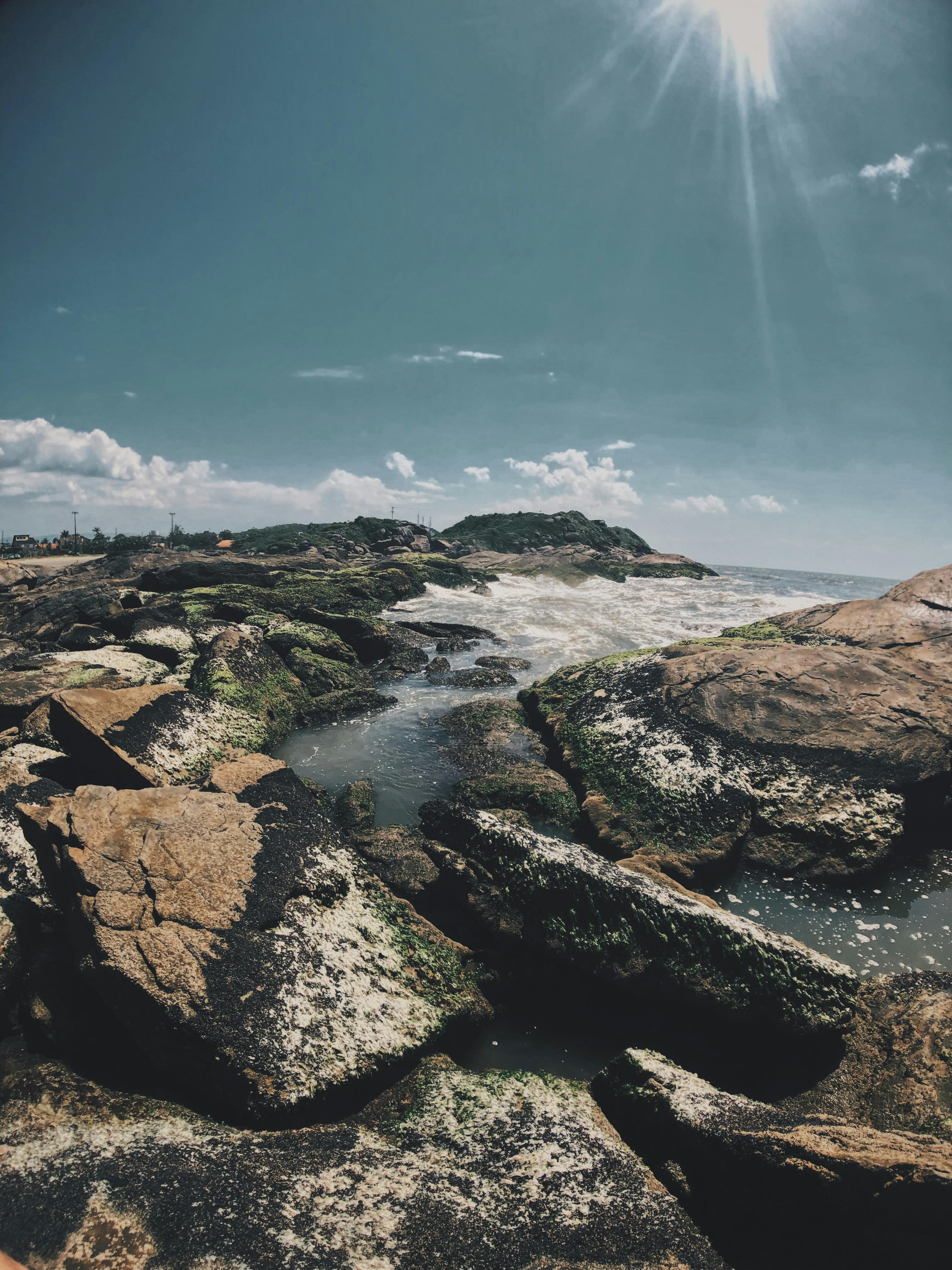 Free stock photo from Guilherme Rossi · Pexels