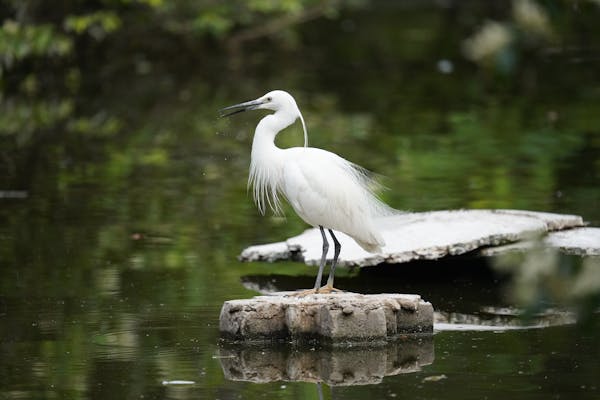 White 8k Wallpaper Photos, Download The BEST Free White 8k Wallpaper ...