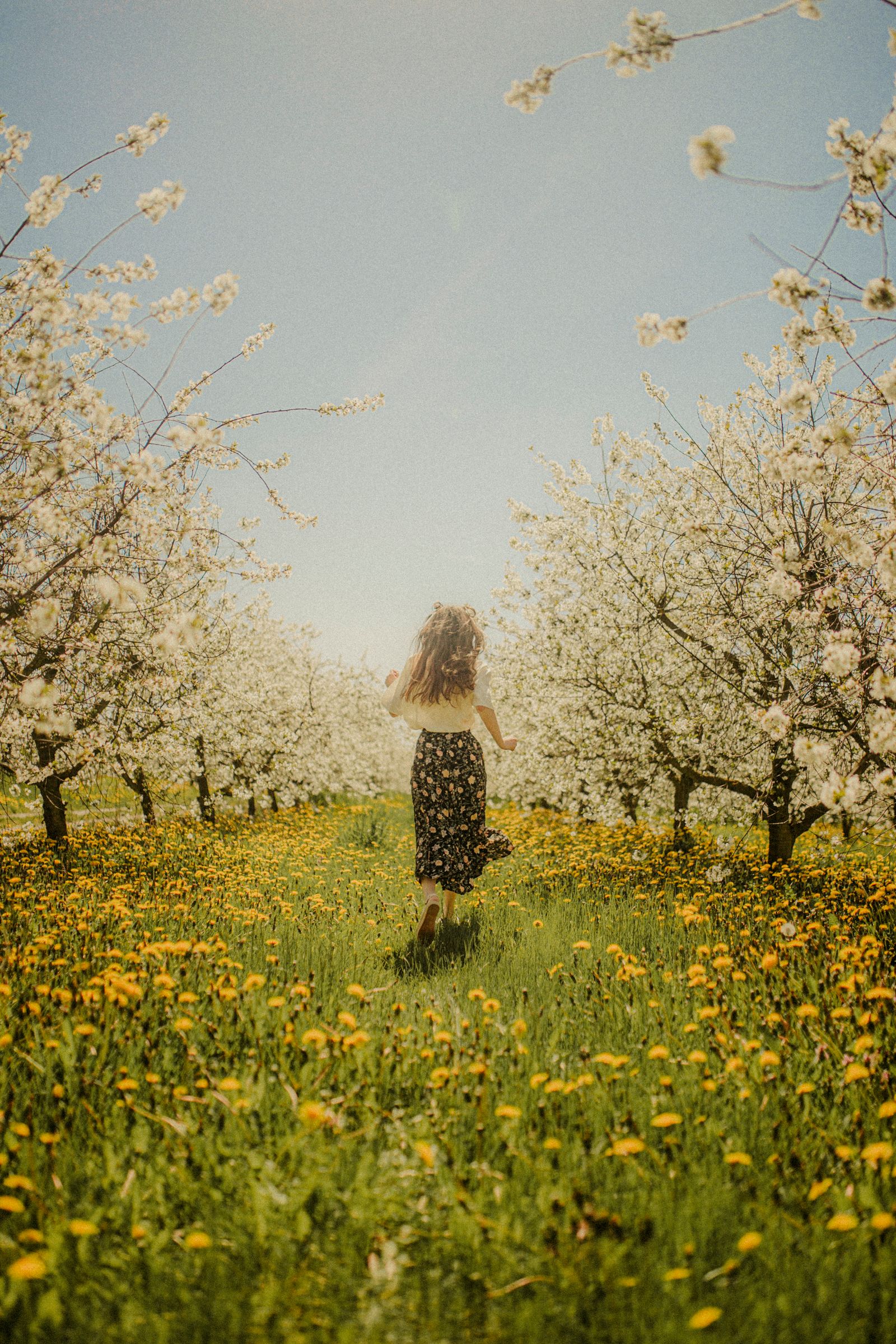 Woman In Nature Photos, Download The BEST Free Woman In Nature Stock ...