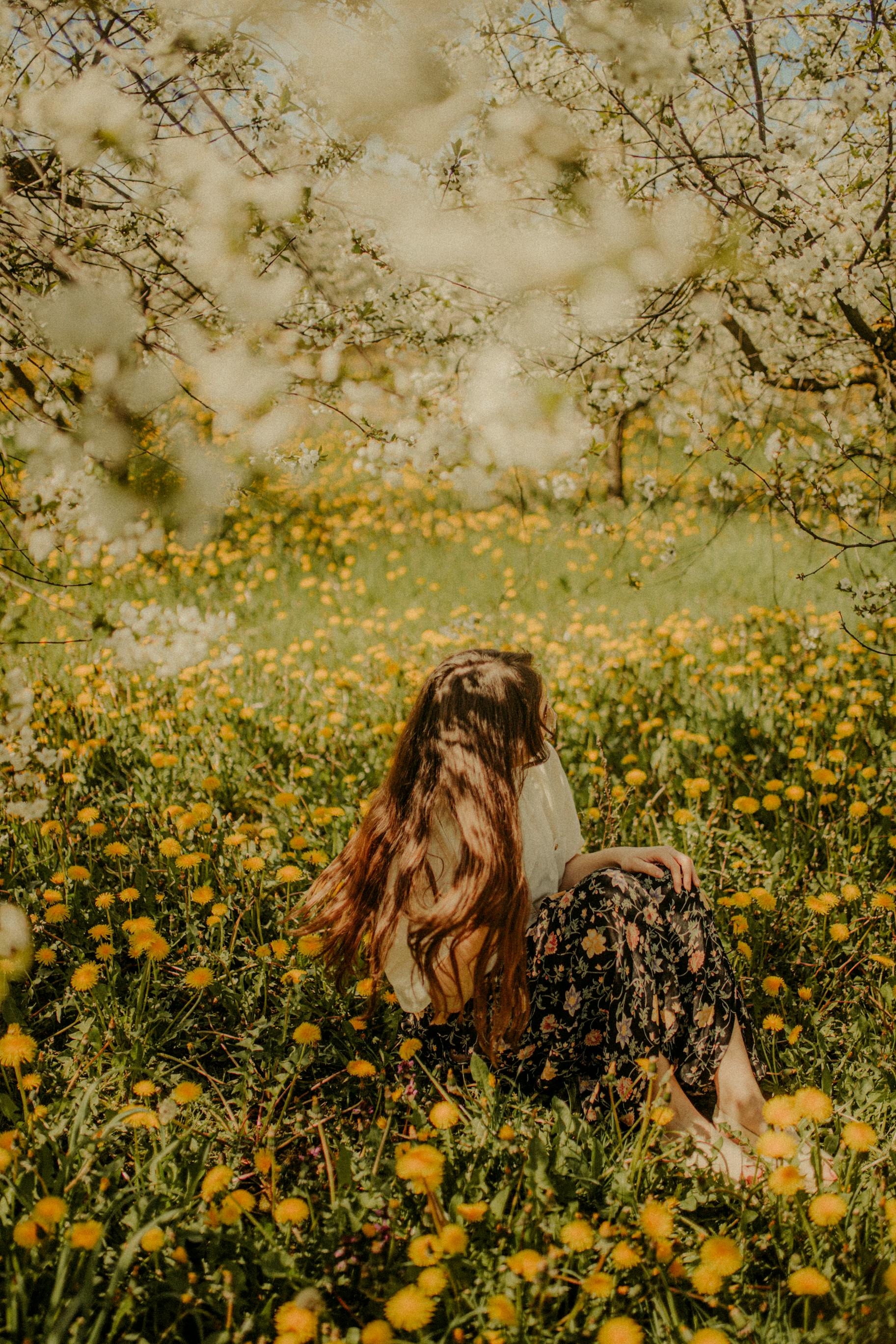 Pam Flowers Photos, Download The BEST Free Pam Flowers Stock Photos ...