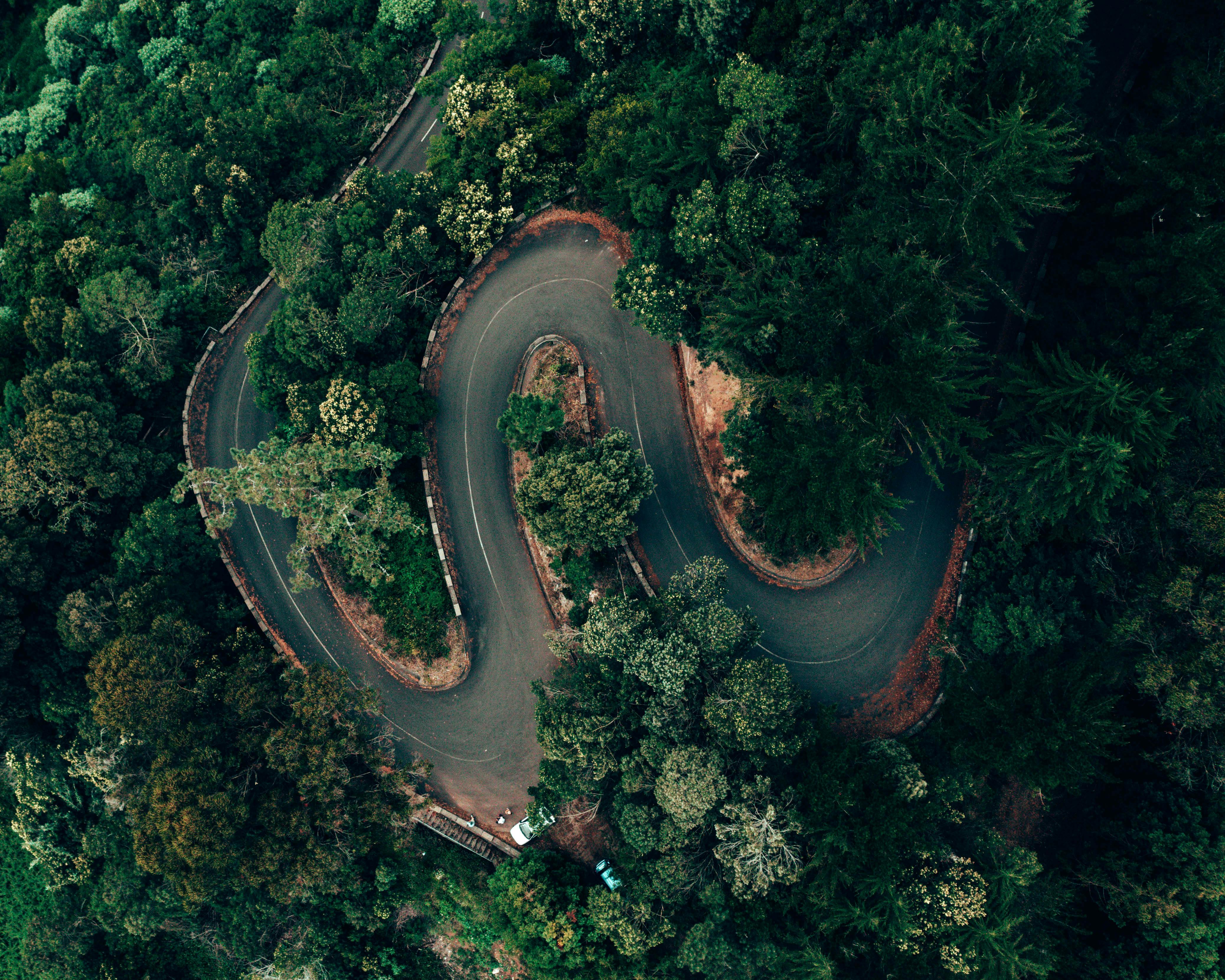 Foto profissional gratuita de ao ar livre, árvores, aventura, aventura ...