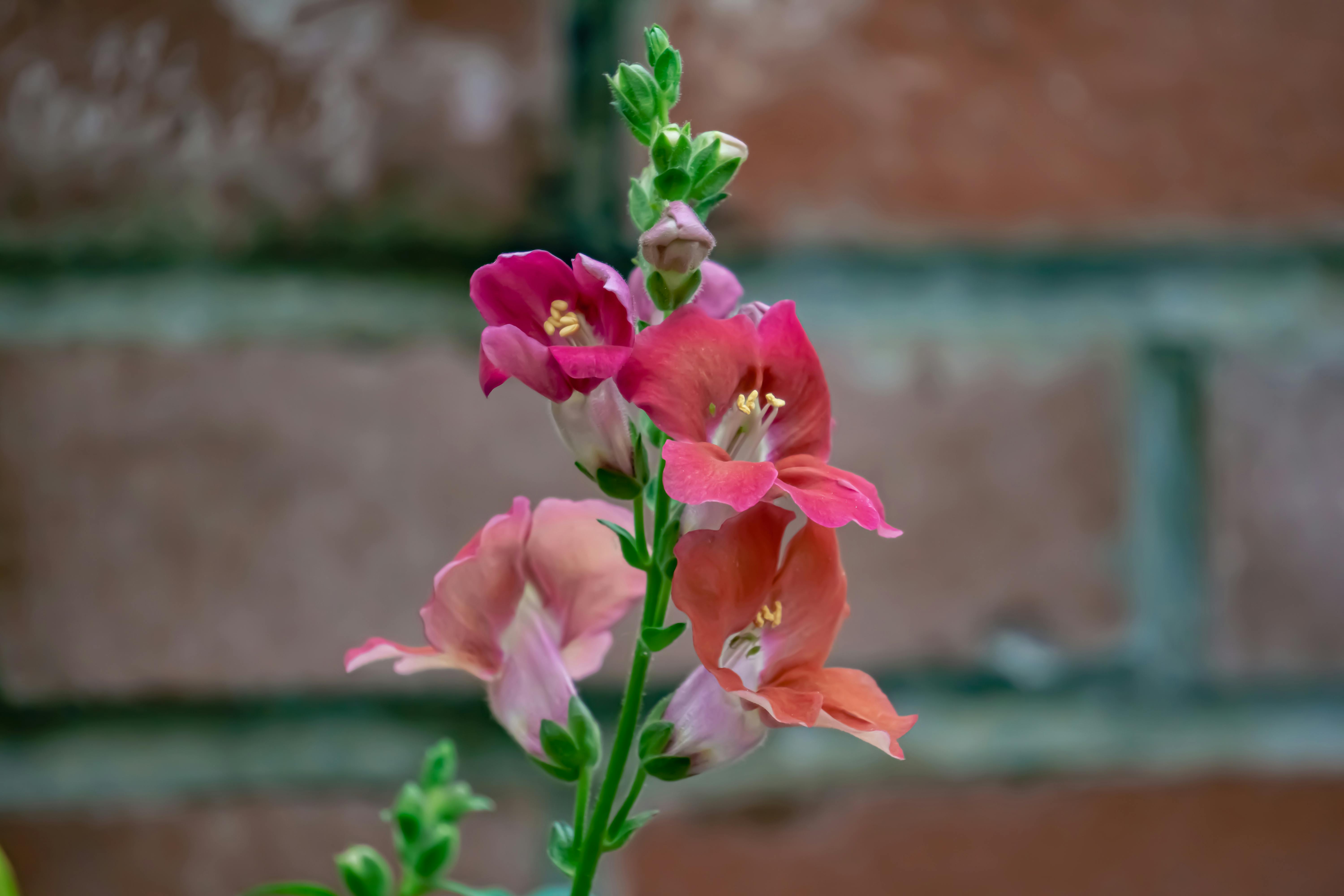 Aravind Reddy Tarugu - Photography