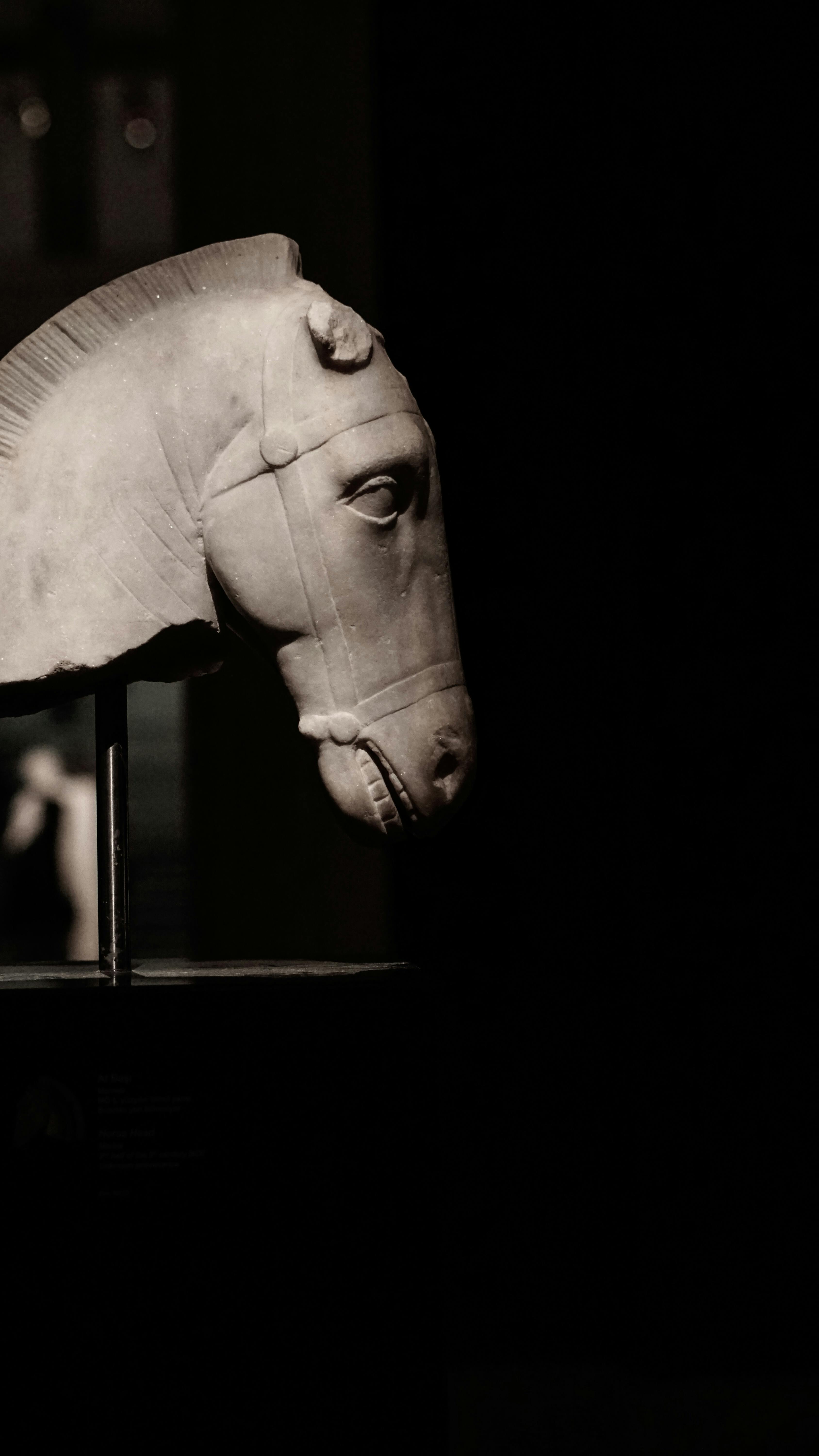 Statue Profile Photos, Download The BEST Free Statue Profile Stock ...