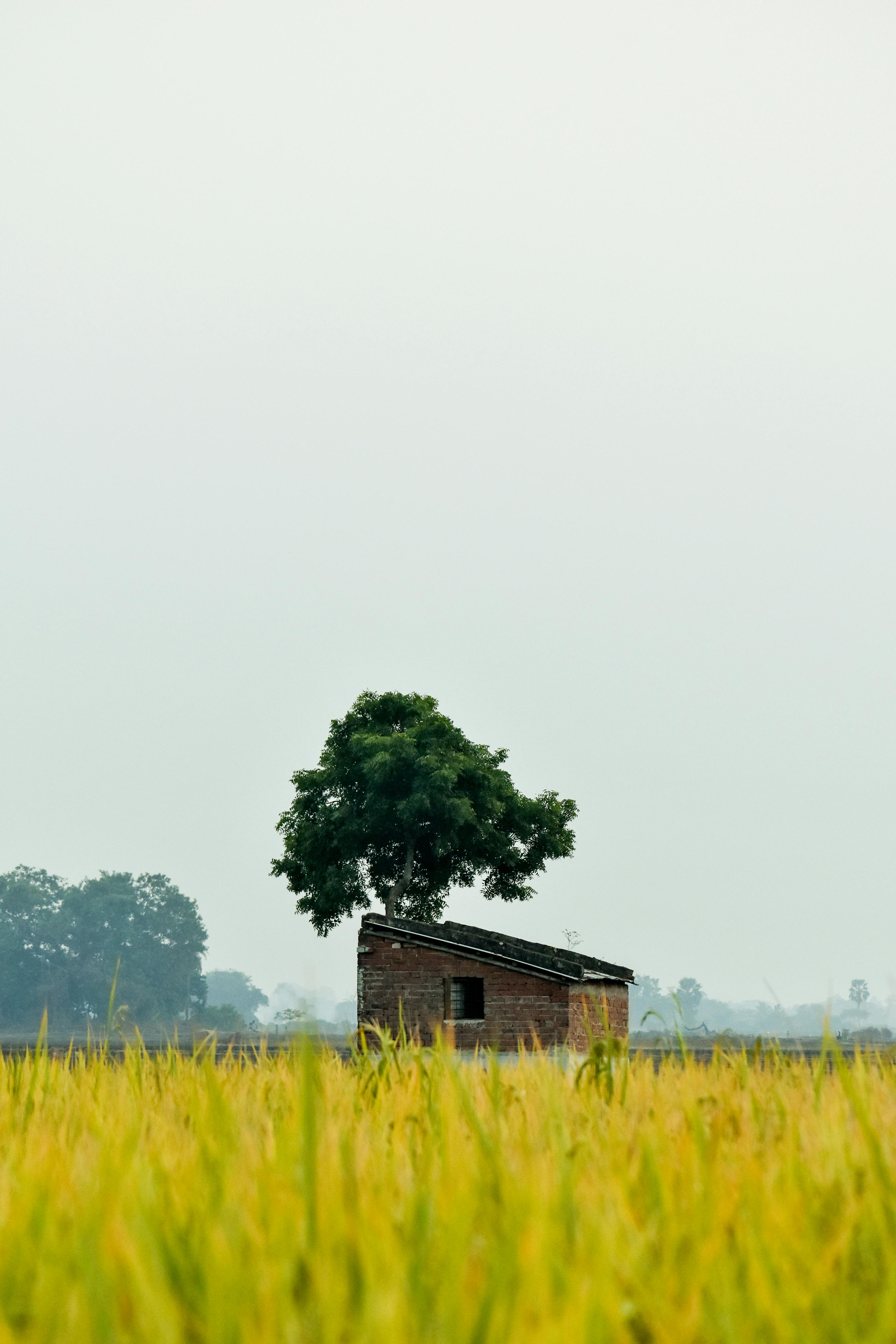 Brick Hut with a Field in the Foreground · Free Stock Photo