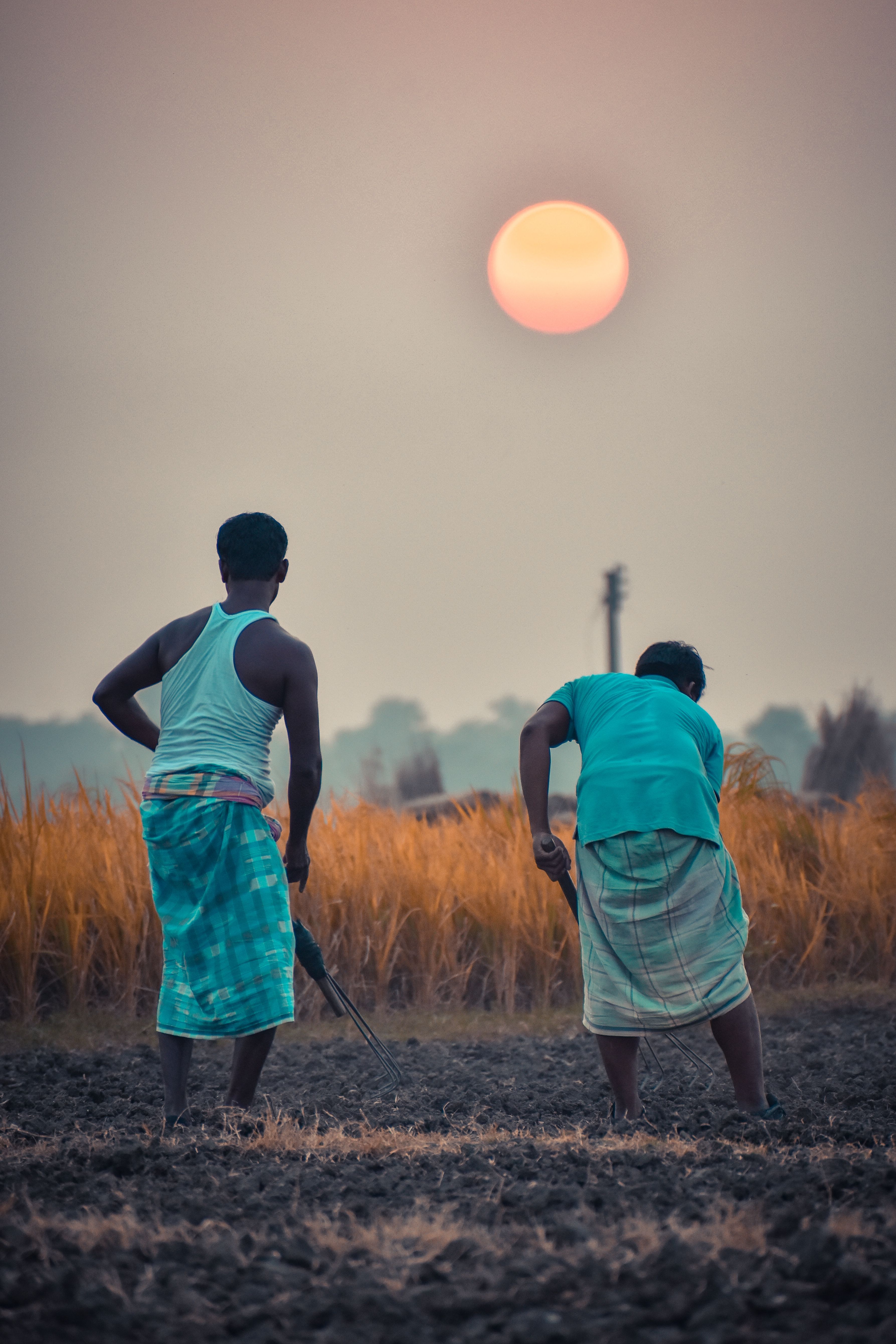 Men Working on Field · Free Stock Photo