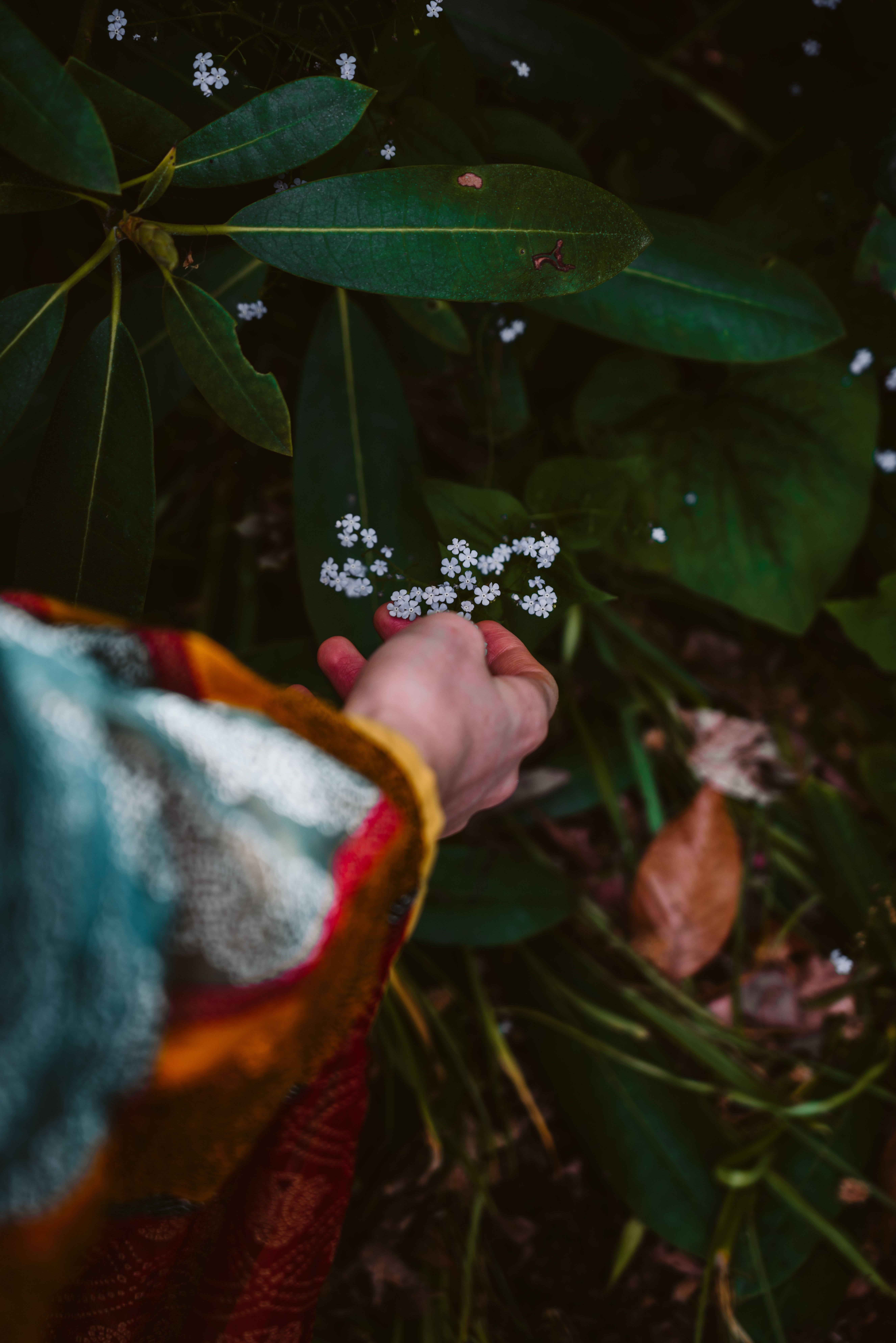 Piccinng - Photography