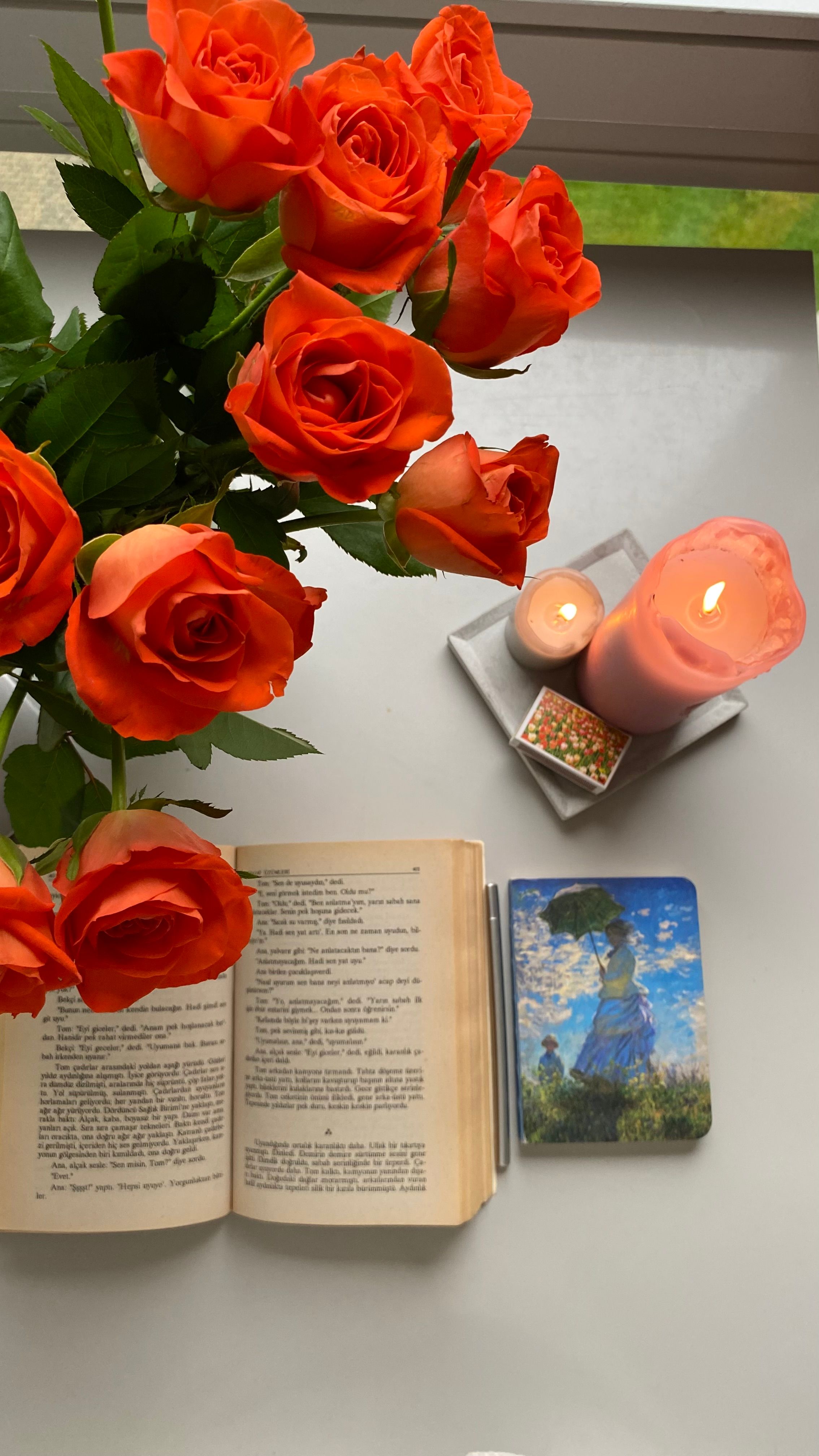 Red Roses and Wax Candles near Book · Free Stock Photo