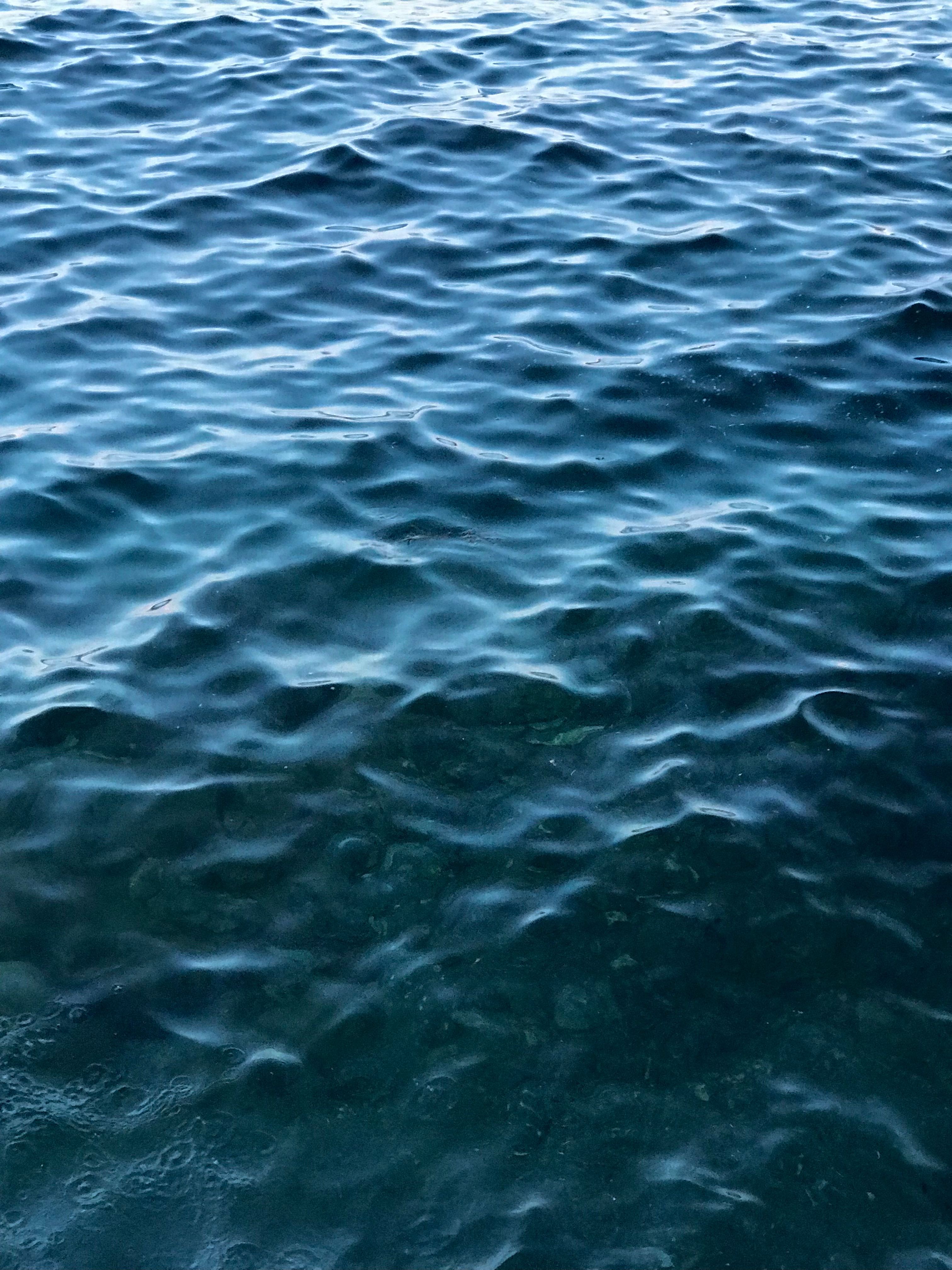 Close-up Photo of Blue Body of Water · Free Stock Photo