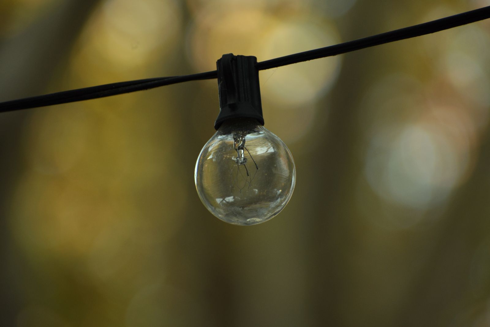 Bulb Png Photos, Download The BEST Free Bulb Png Stock Photos & HD Images