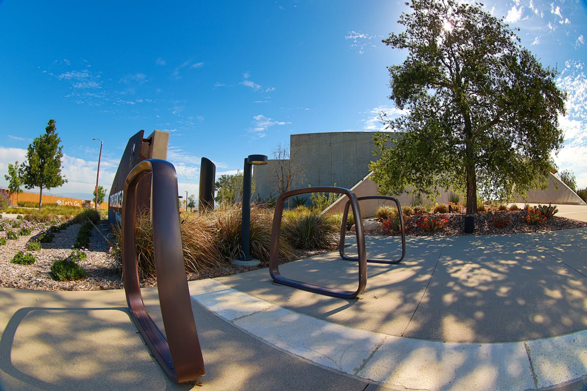 Tree Bars Photos, Download The BEST Free Tree Bars Stock Photos & HD Images