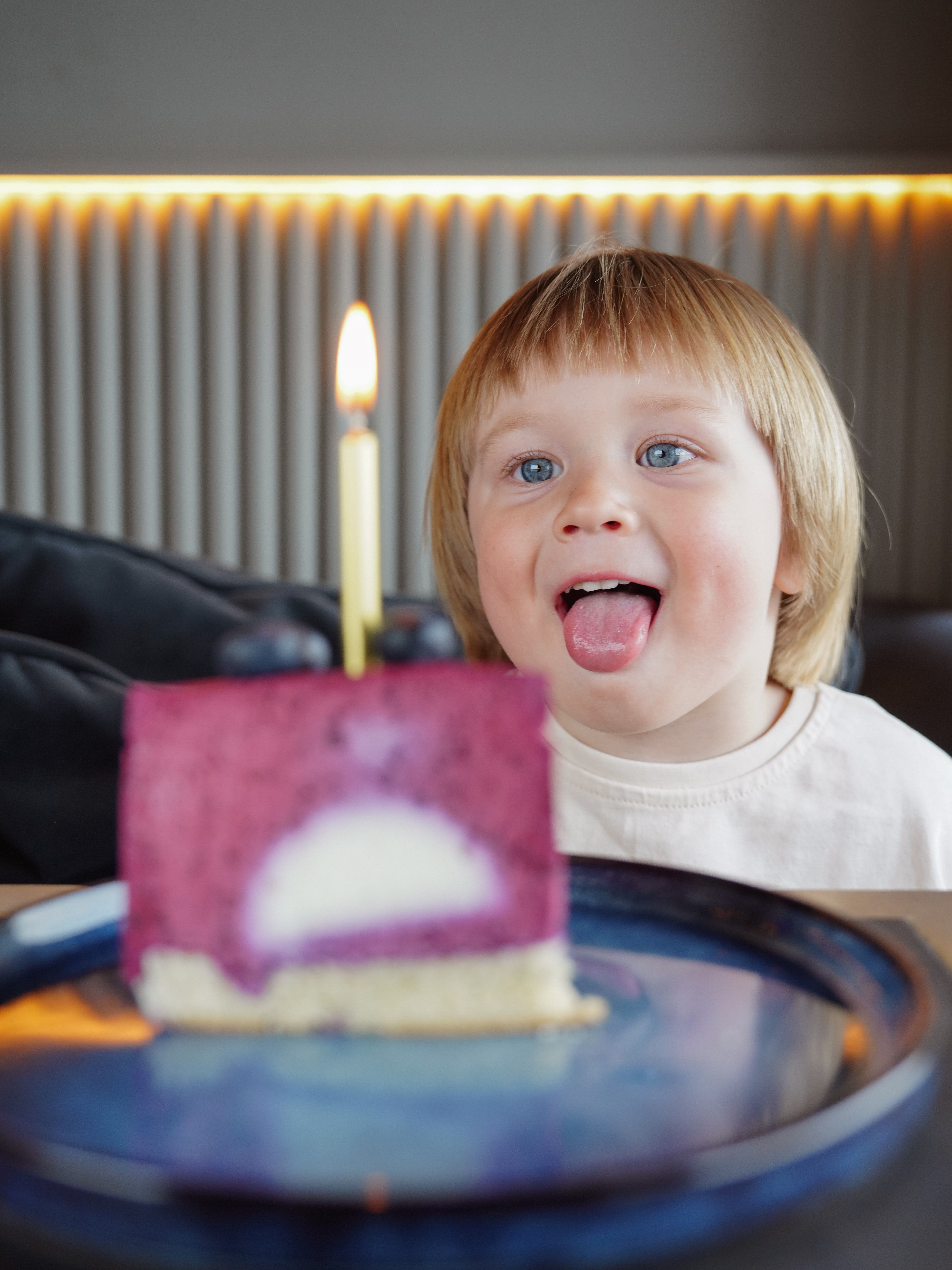 Happy Boy Celebrating Birthday · Free Stock Photo