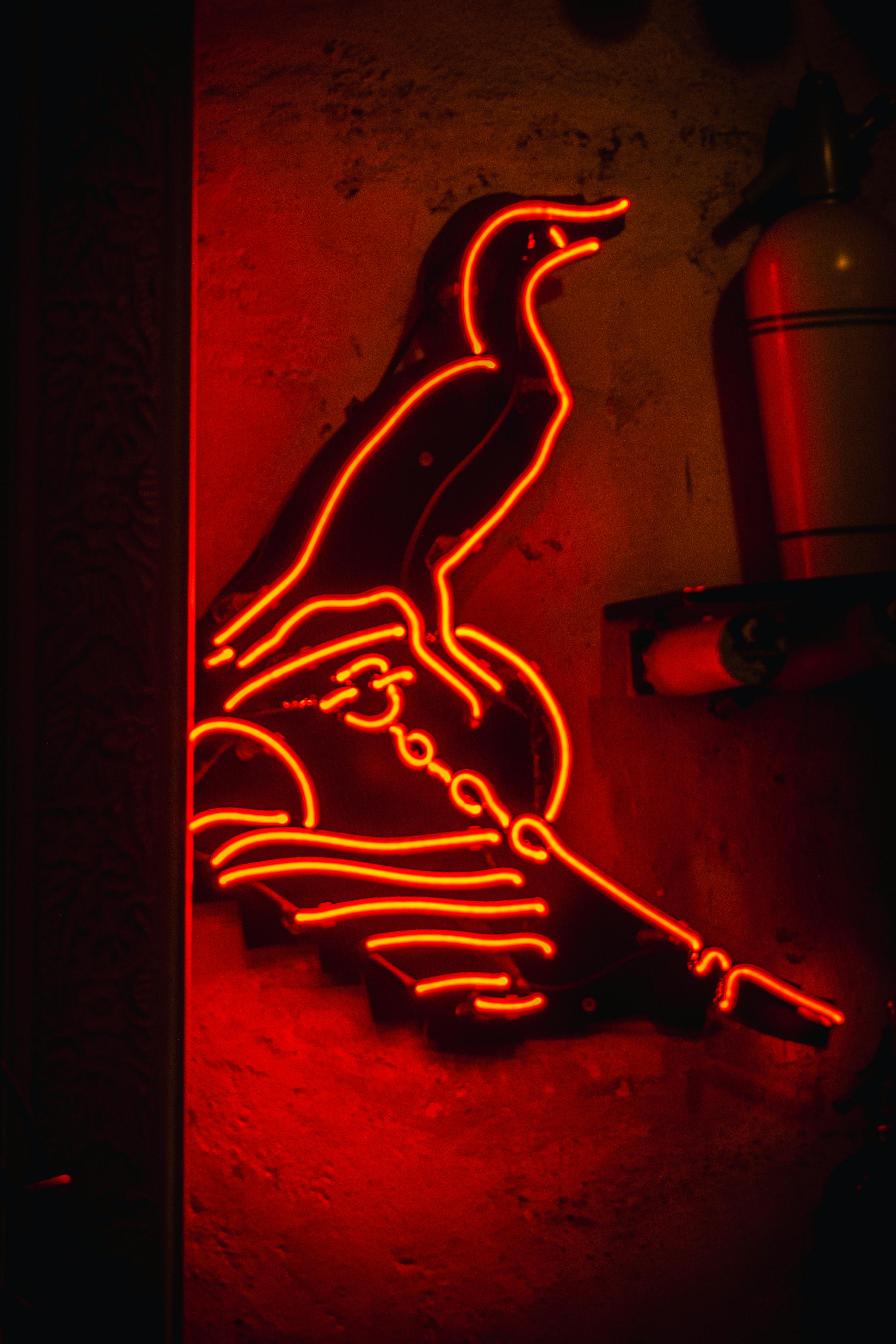 Red and White Neon Light Signage · Free Stock Photo