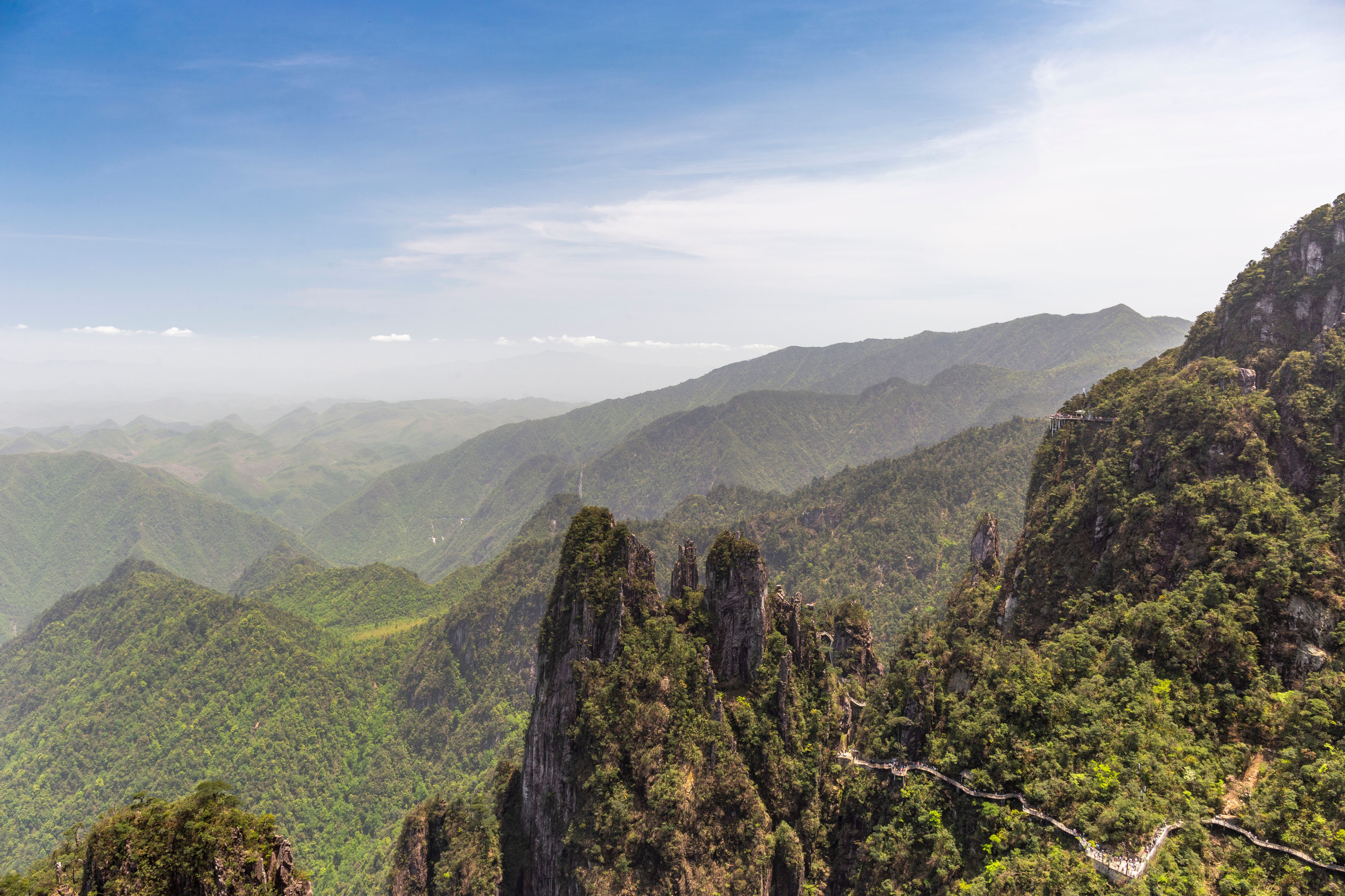 Forest on Rock Formations in Mountains · Free Stock Photo
