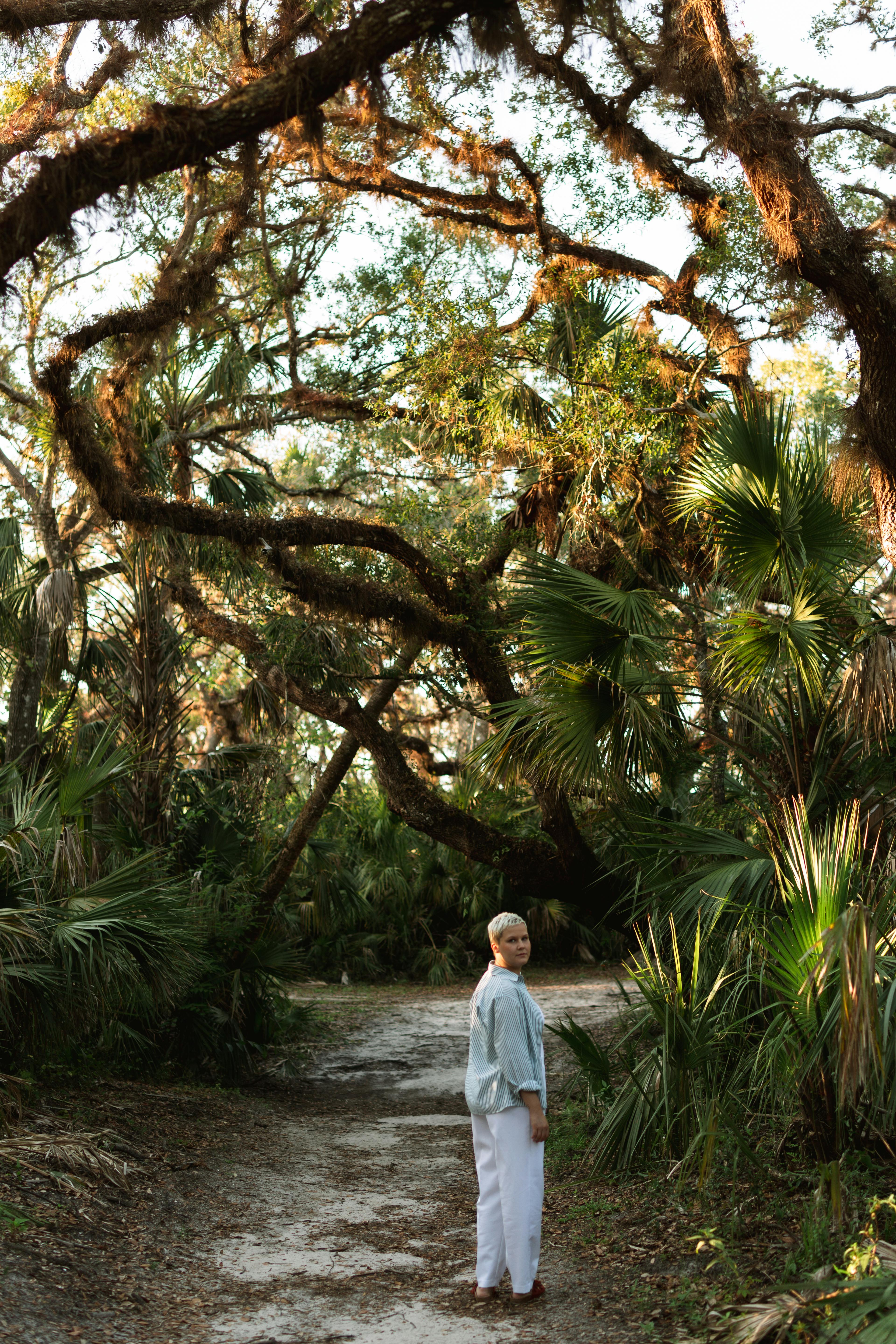 Person Walking through Park under Curved Tree Branches · Free Stock Photo