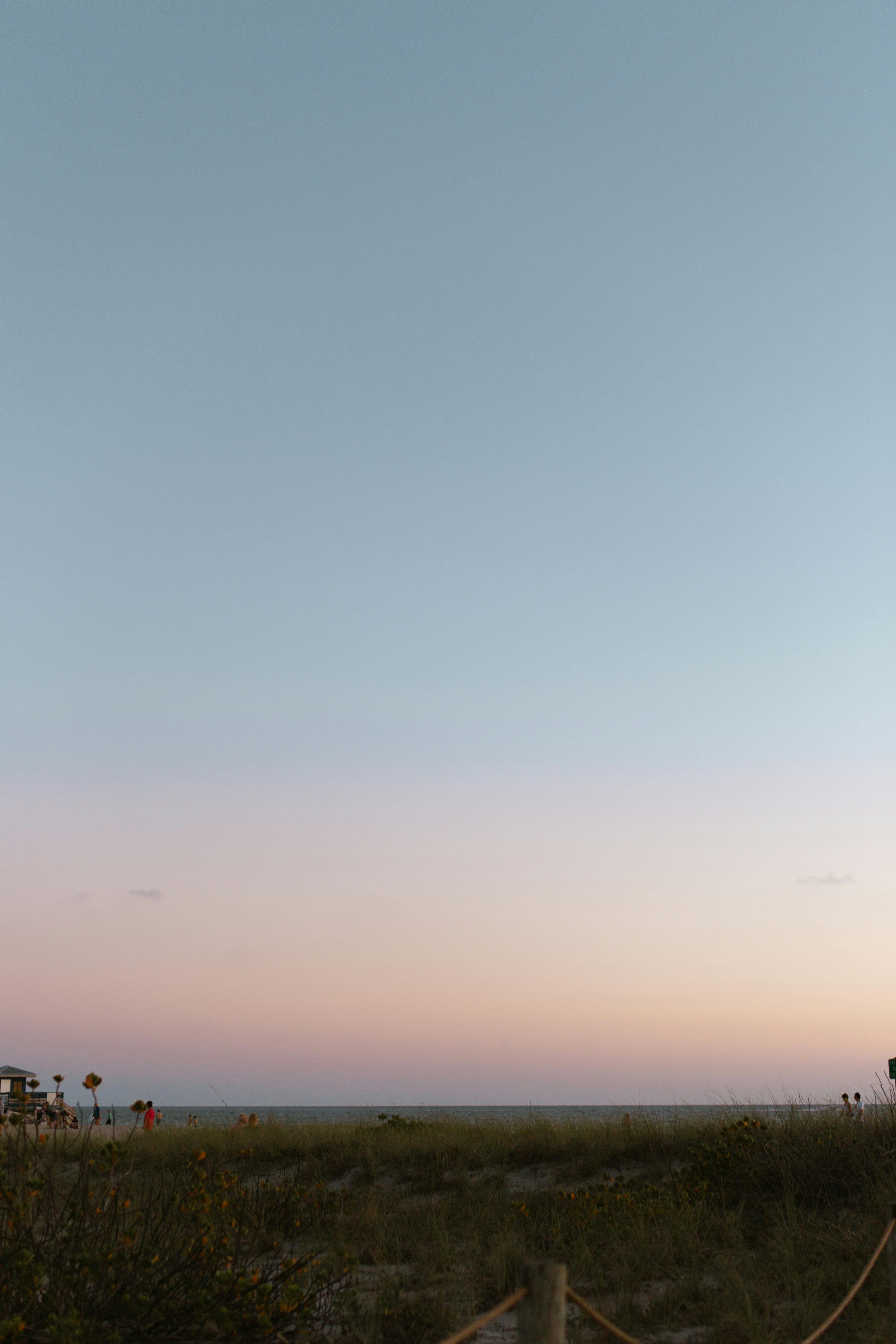 Sky Crows Photos, Download The BEST Free Sky Crows Stock Photos & HD Images