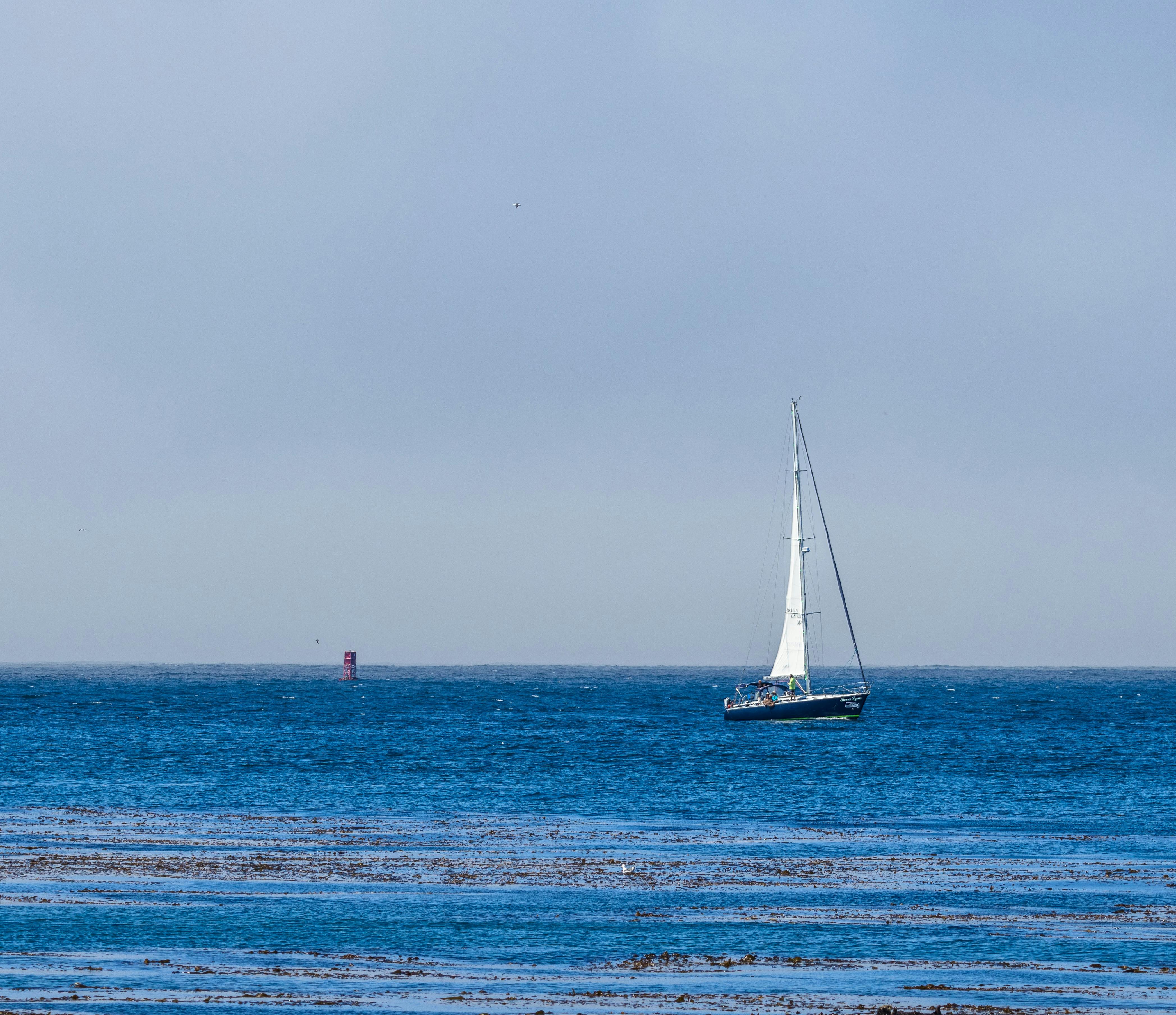 Sailboat Sailing on Sea Coast · Free Stock Photo