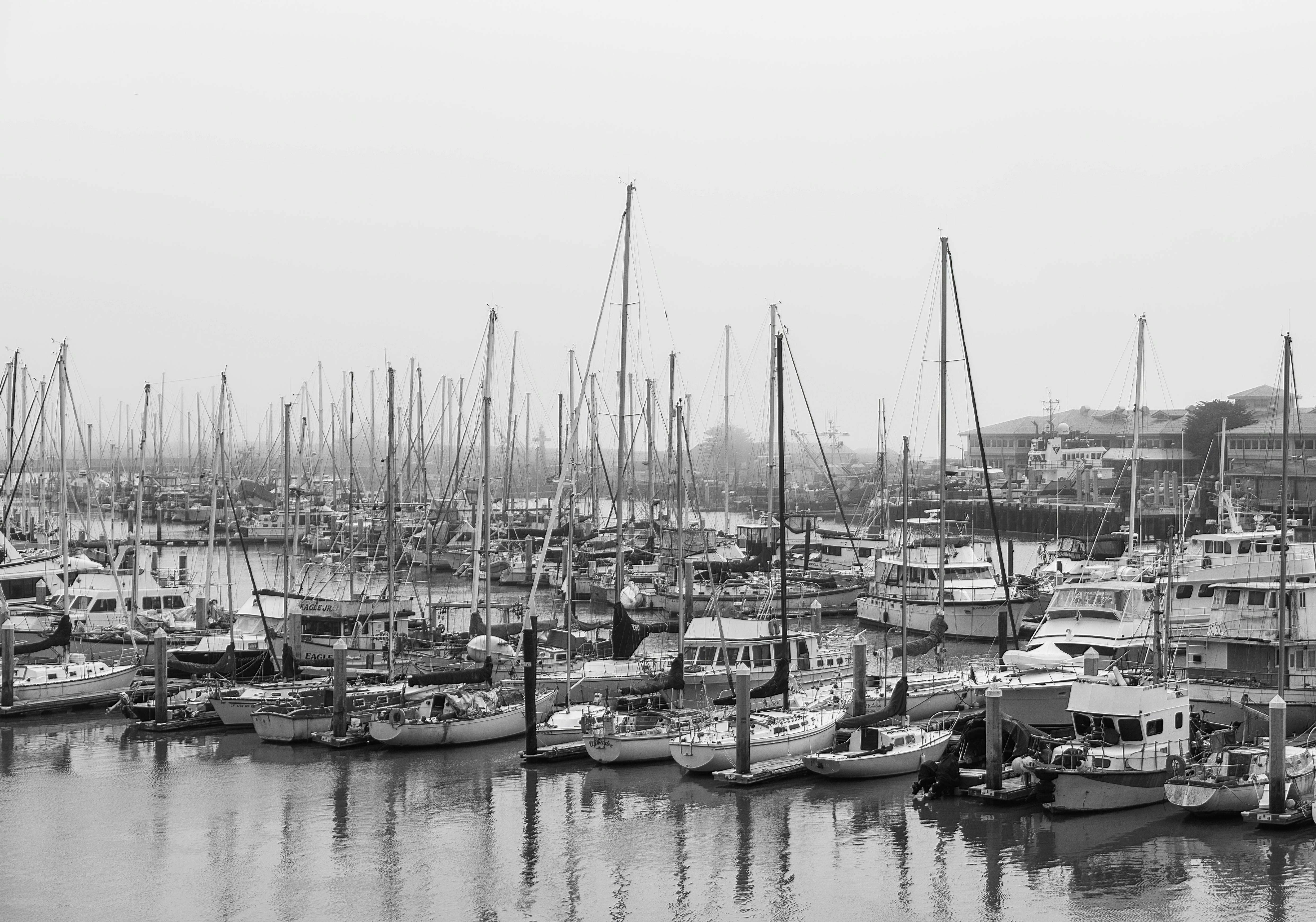 Boats in a Harbor · Free Stock Photo