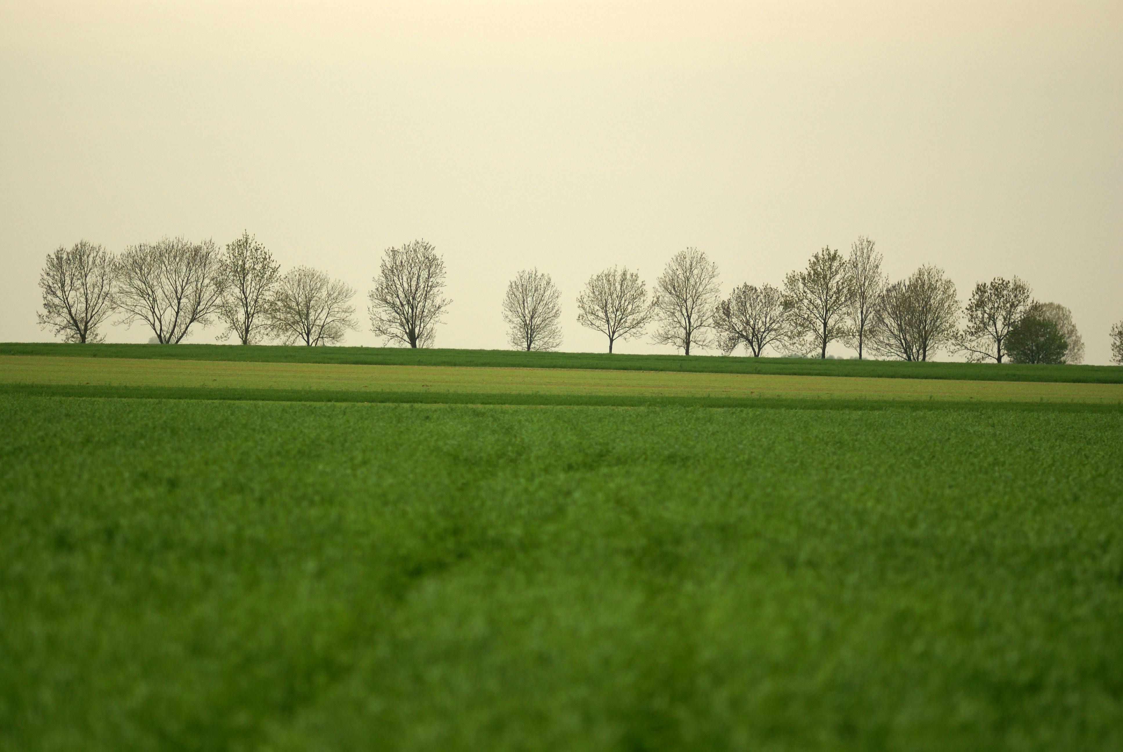 Sward Wallpaper Photos, Download The BEST Free Sward Wallpaper Stock ...