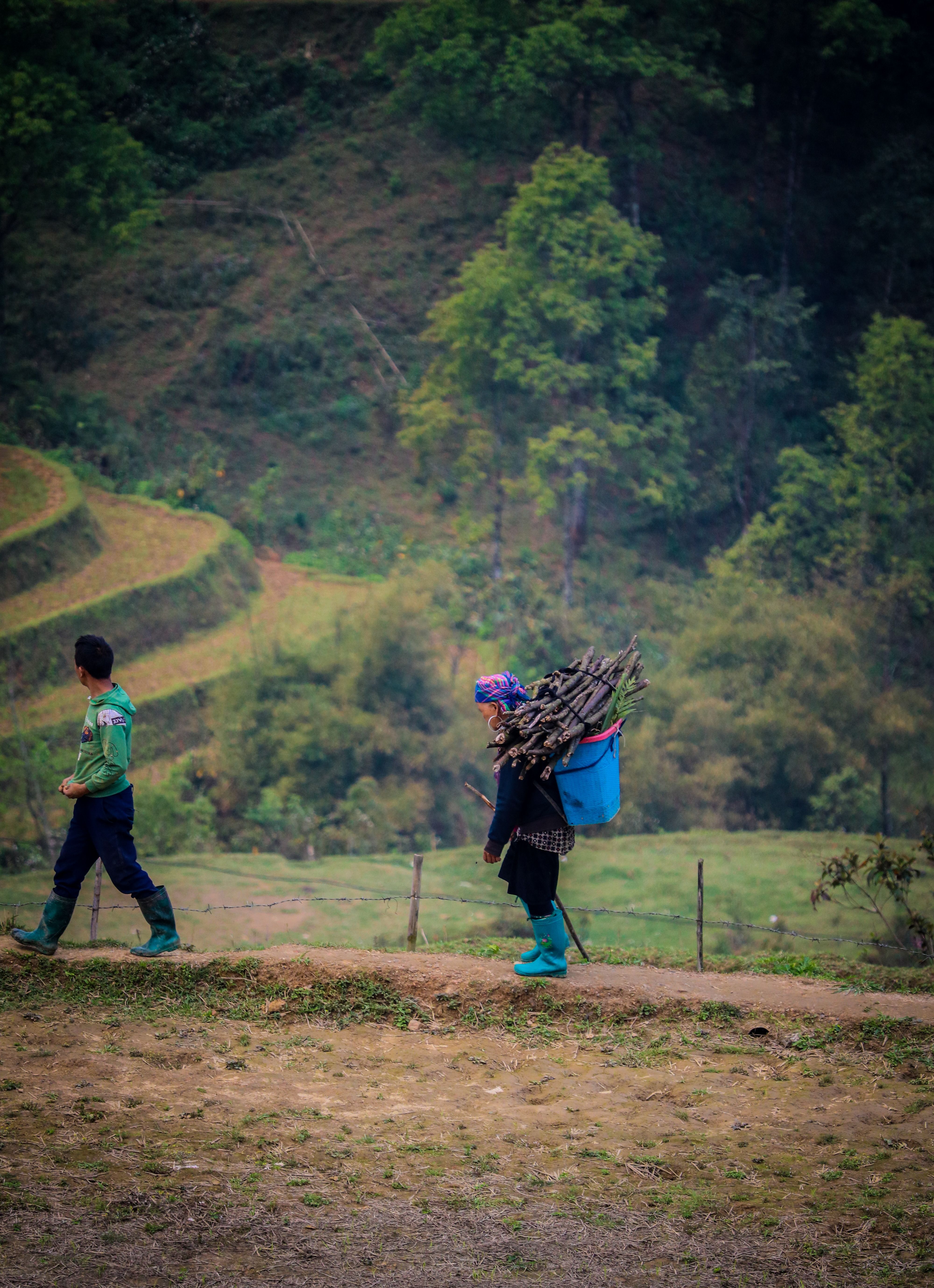 Person Carrying Branches in Mountains · Free Stock Photo