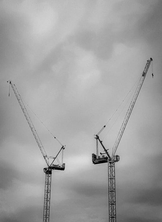 Black and White Picture of Cranes on the Background of a Black and White Picture of Cranes on the Background of a