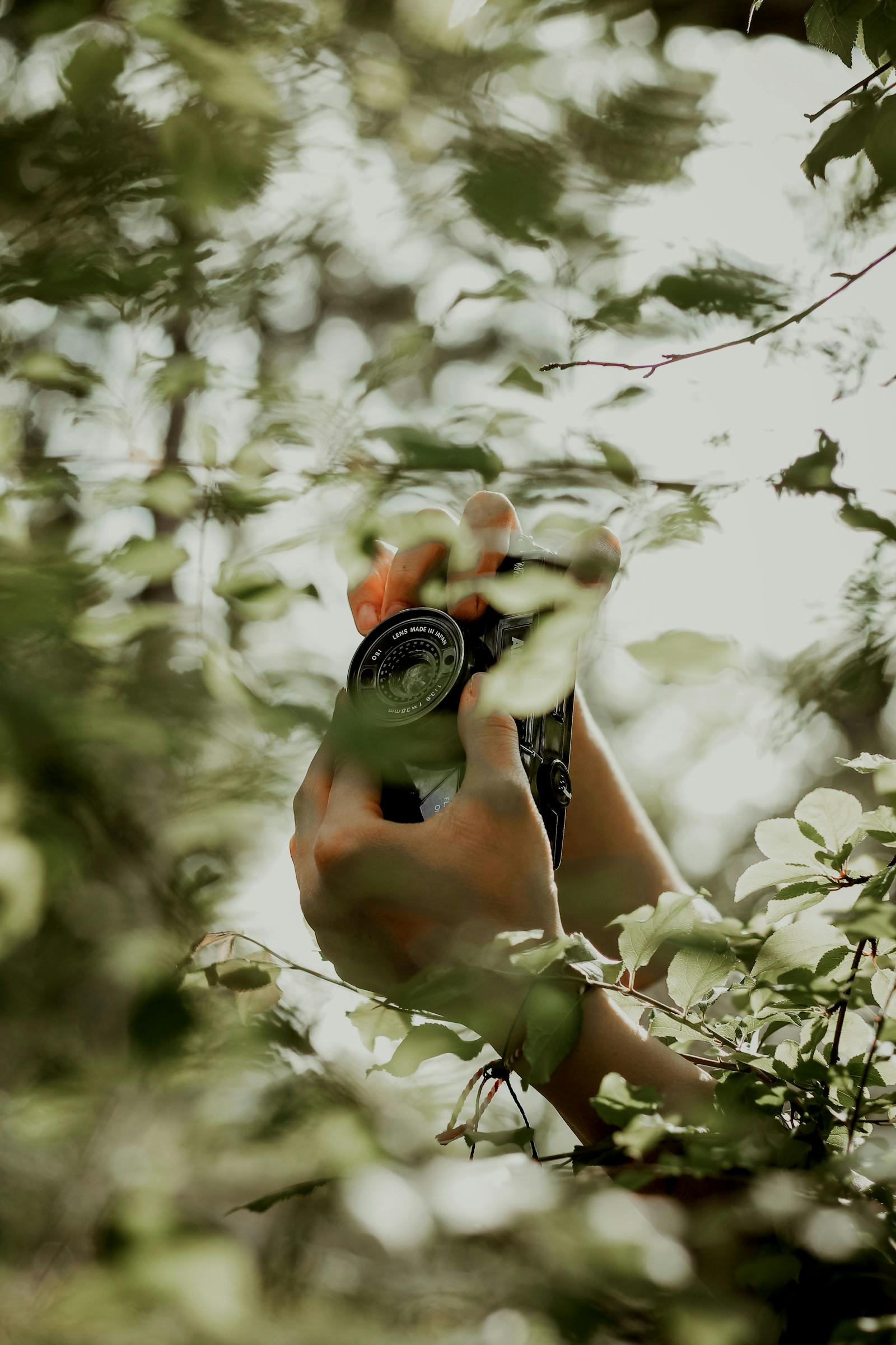 Hidden Camera Photos, Download The BEST Free Hidden Camera Stock Photos ...