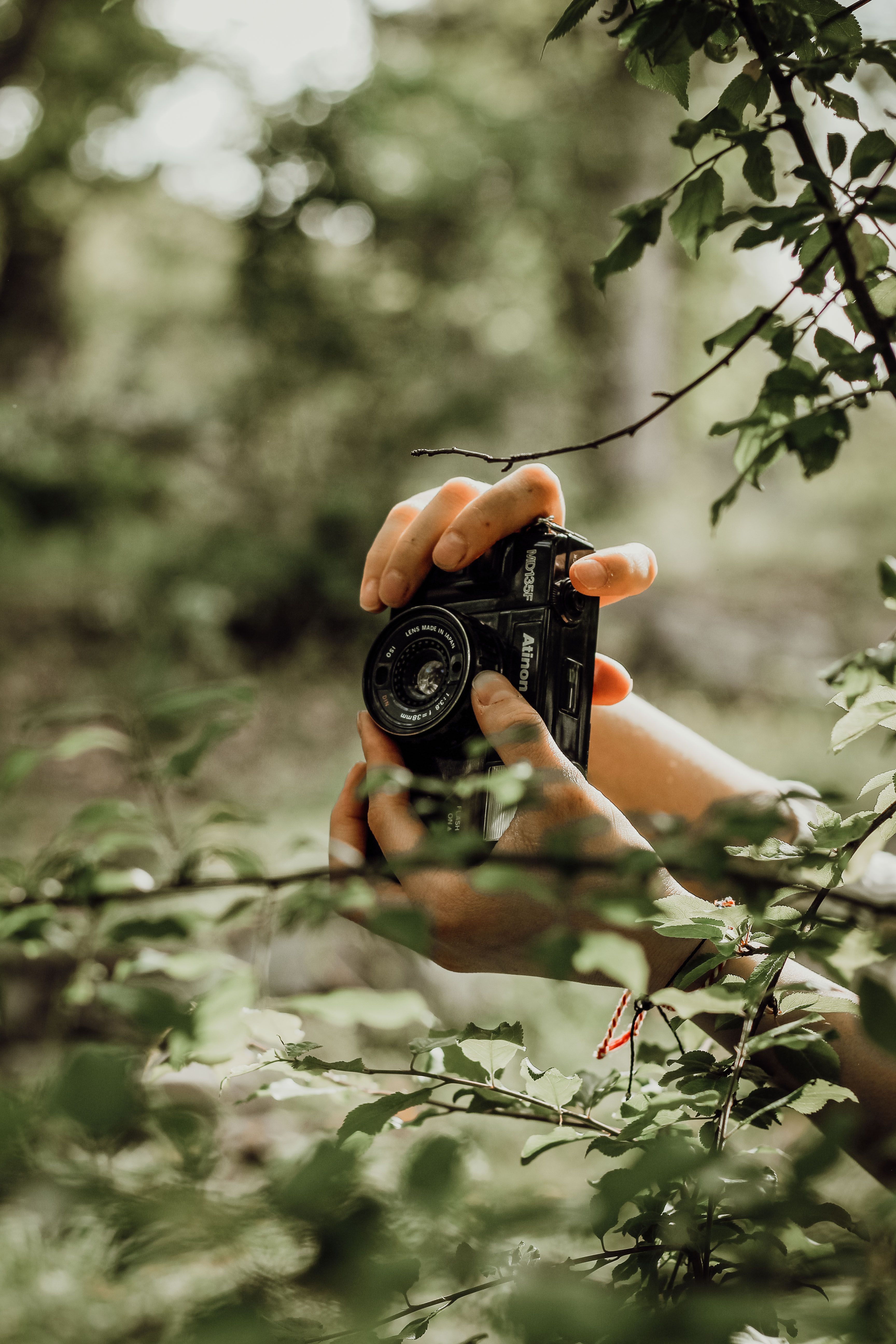 Sneak Photos, Download The BEST Free Sneak Stock Photos & HD Images
