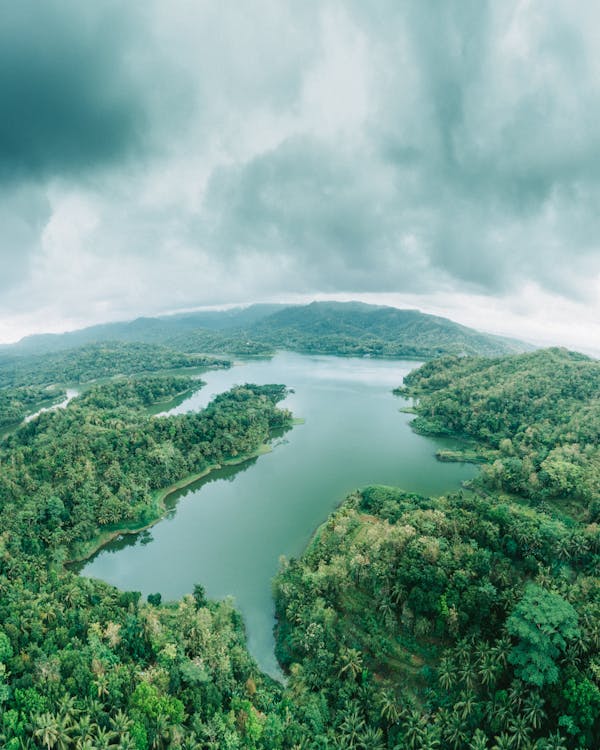 Webb Lake Photos, Download The BEST Free Webb Lake Stock Photos & HD Images