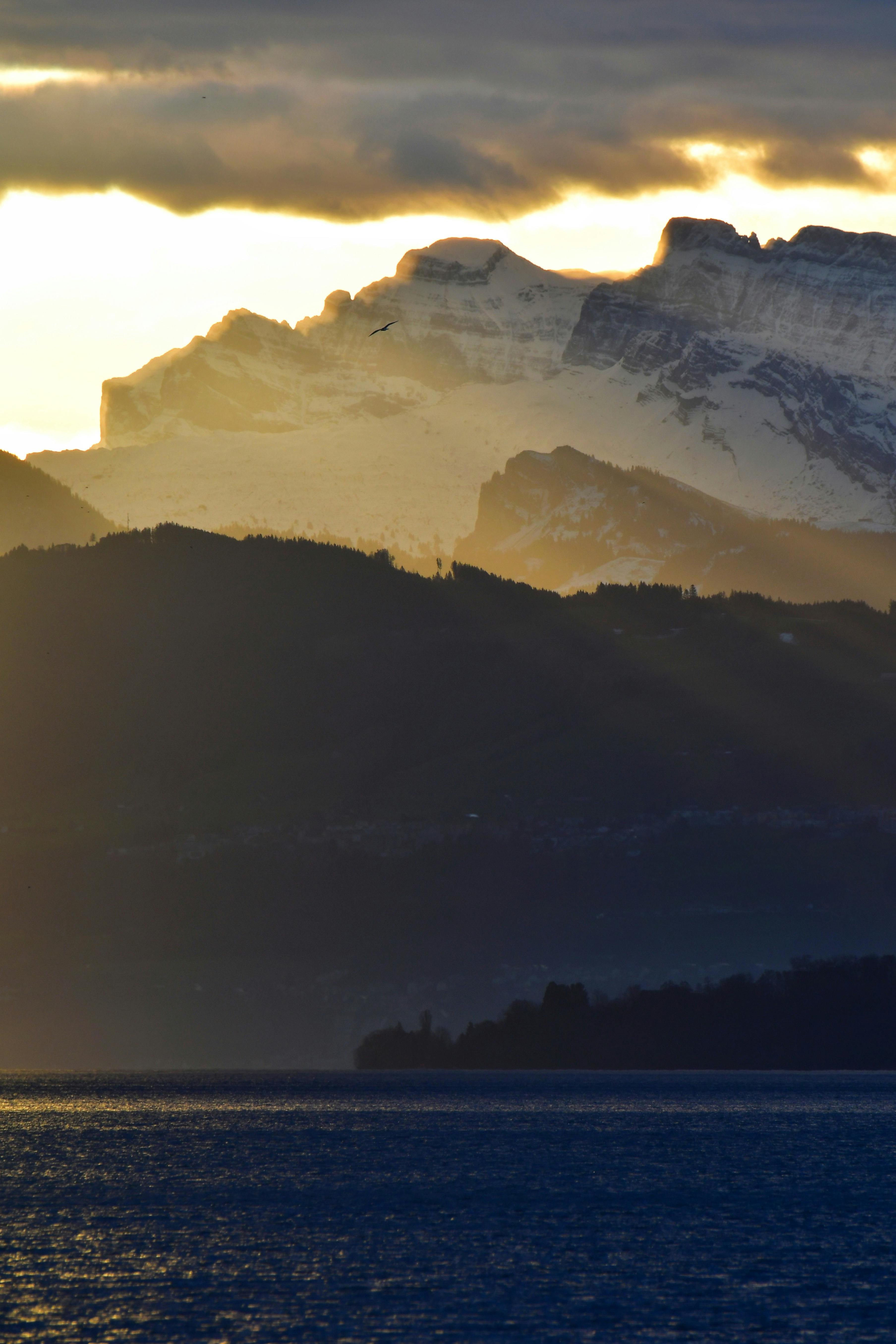 Morning Yearn Photos, Download The BEST Free Morning Yearn Stock Photos ...