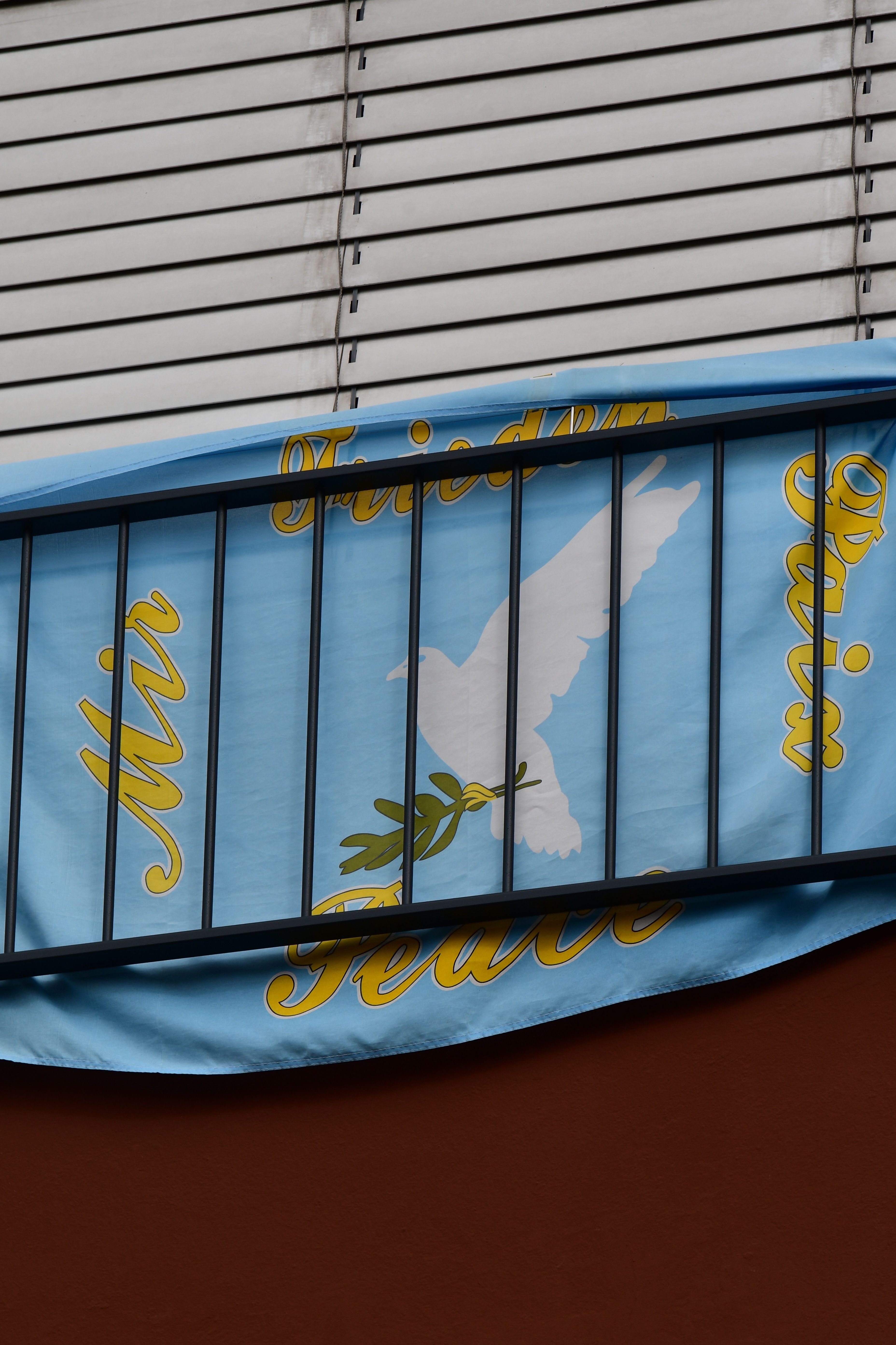 Flag under Shutter · Free Stock Photo