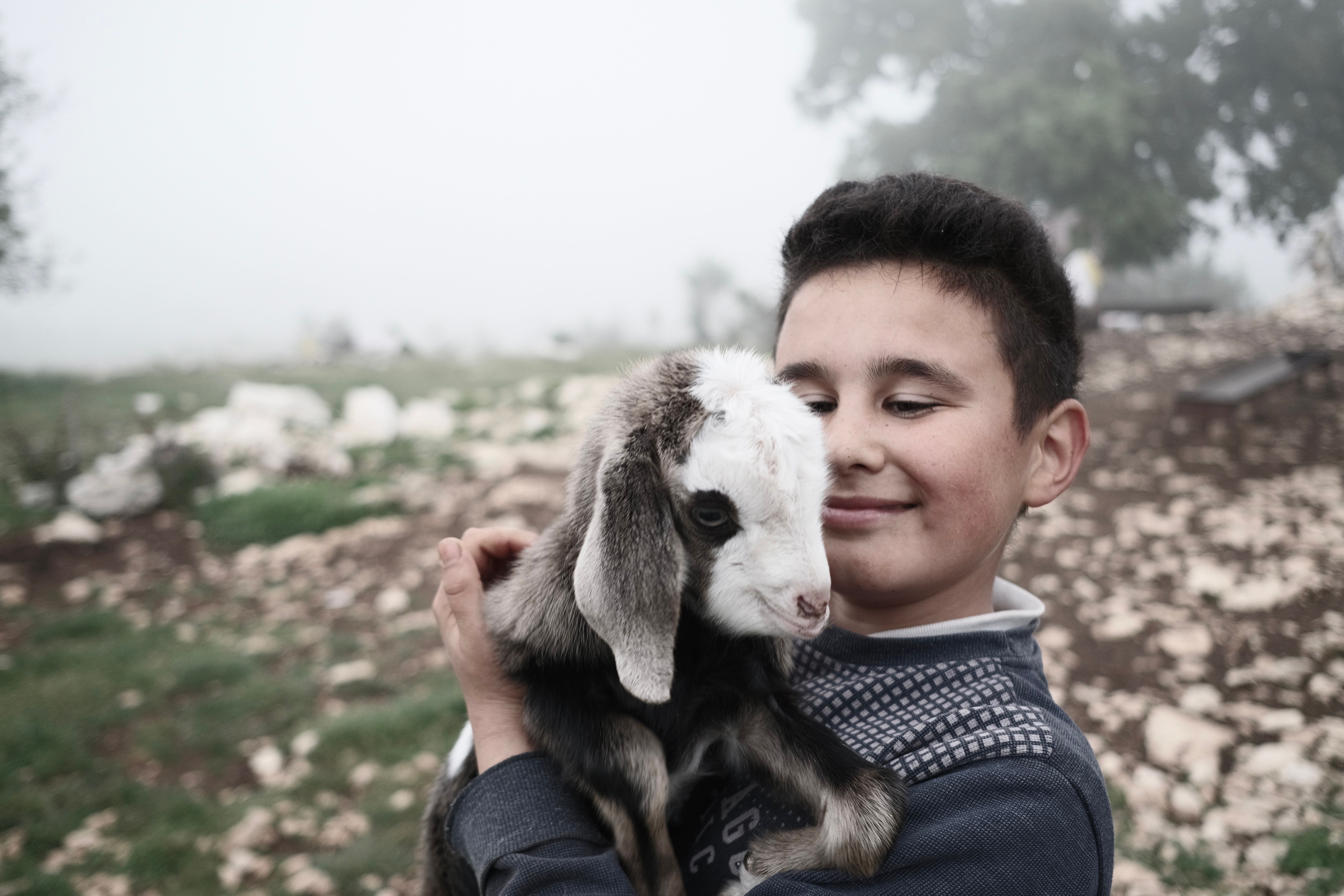 Man with Sheep · Free Stock Photo