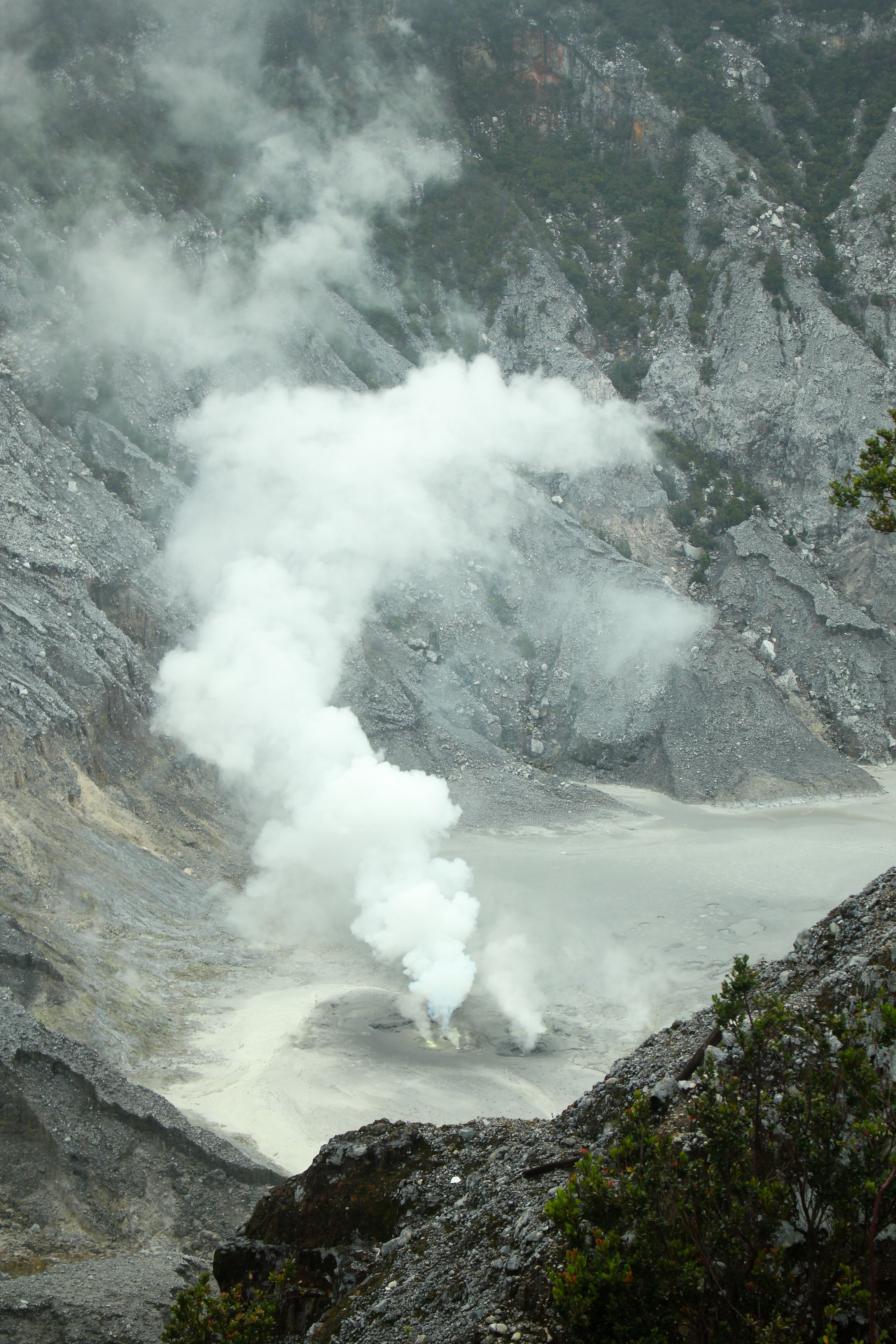 Uap Dari Geyser Di Antara Batu · Foto Stok Gratis