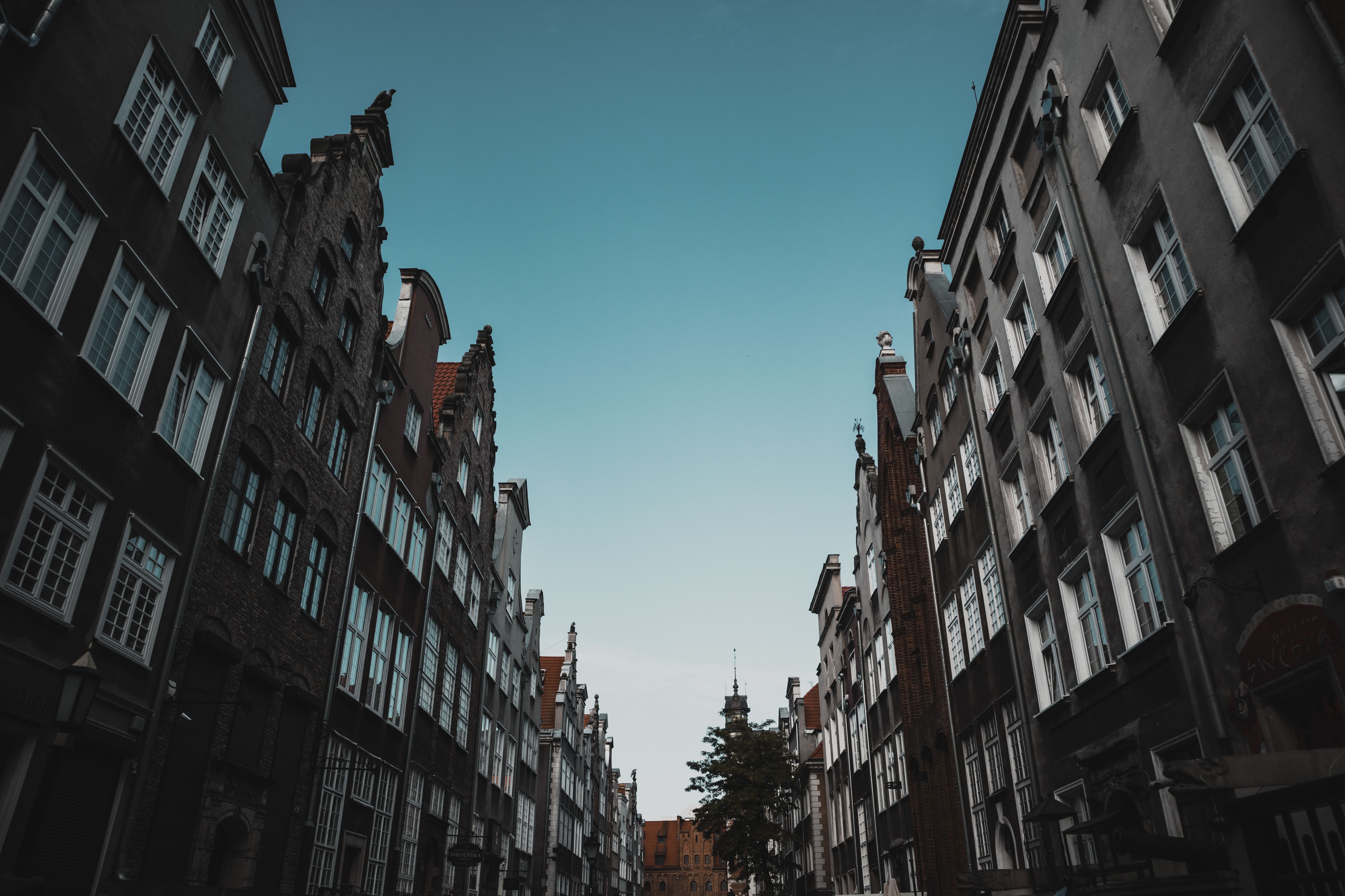 Windows in an Old Tenement · Free Stock Photo