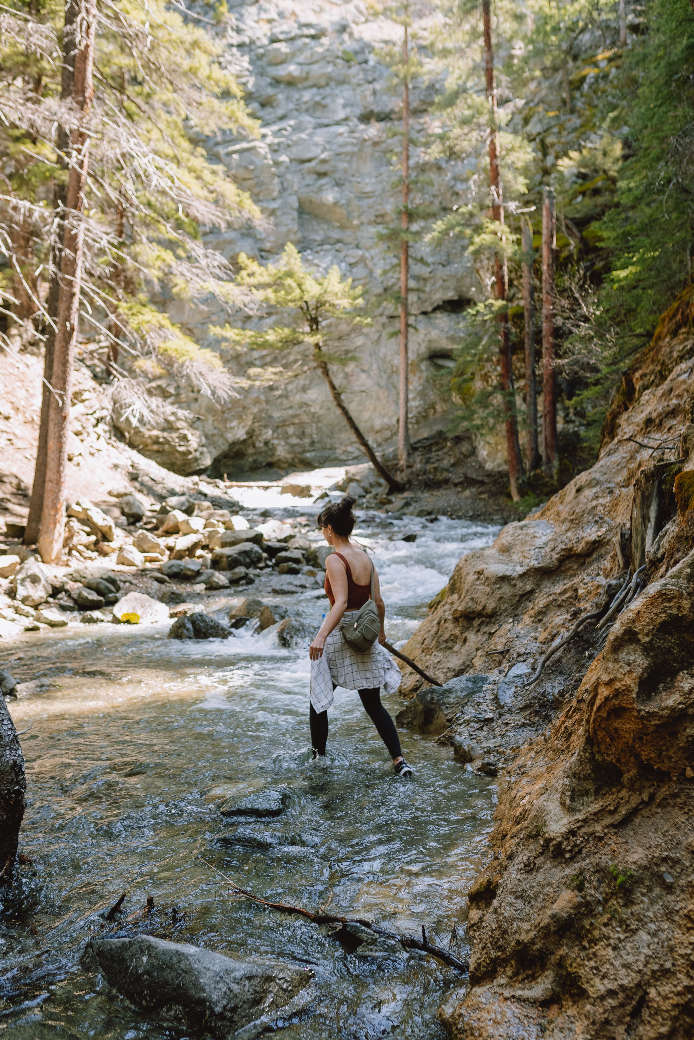 Woman Crossing Stream in Forest · Free Stock Photo
