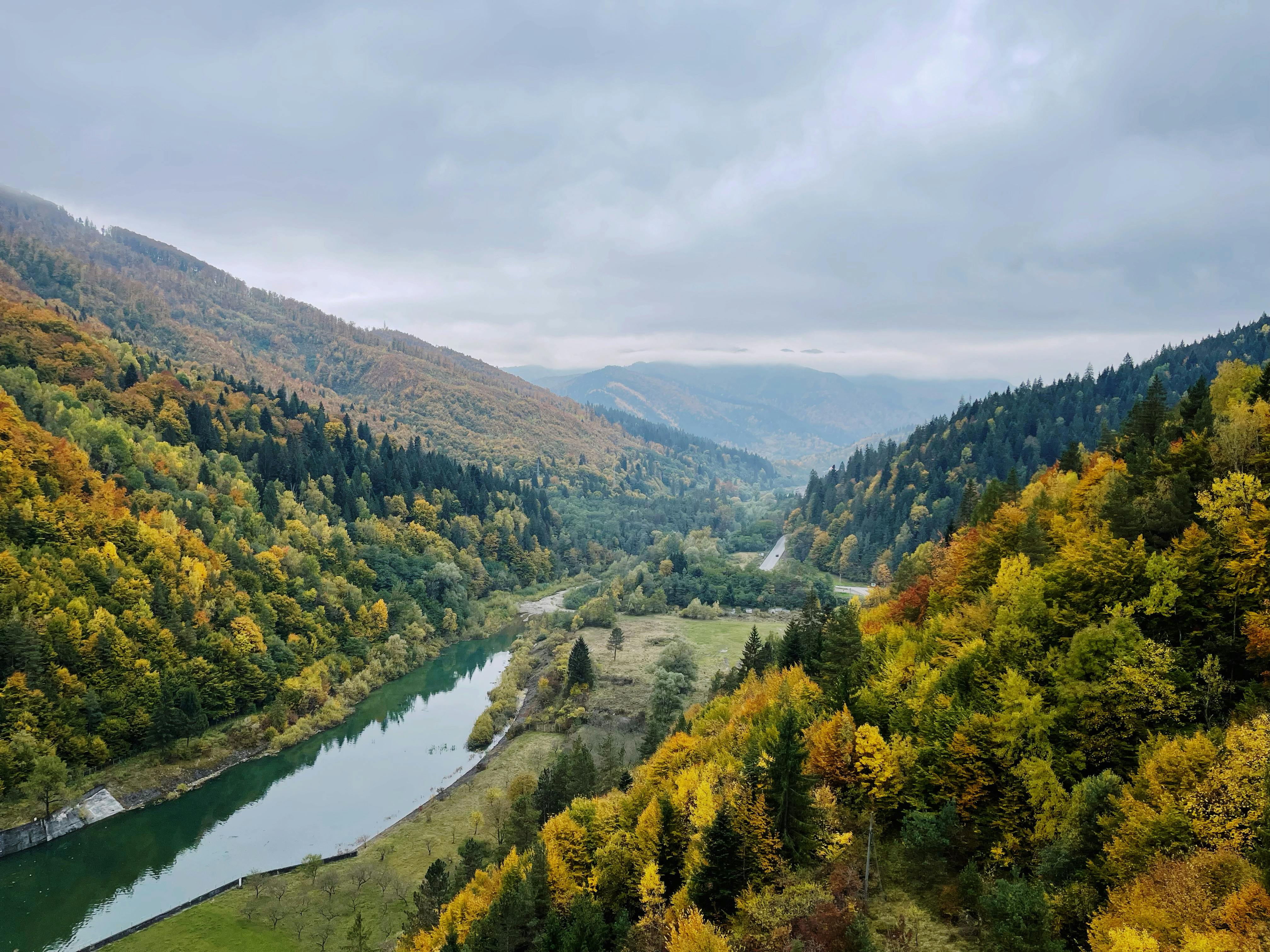 River in Forest with Mountains · Free Stock Photo