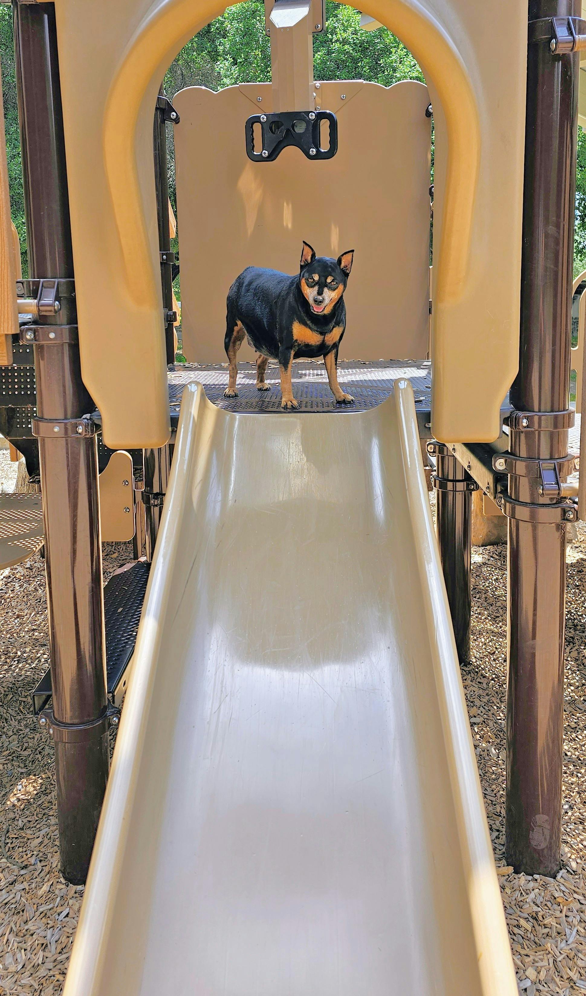 David A Landry - Photographie