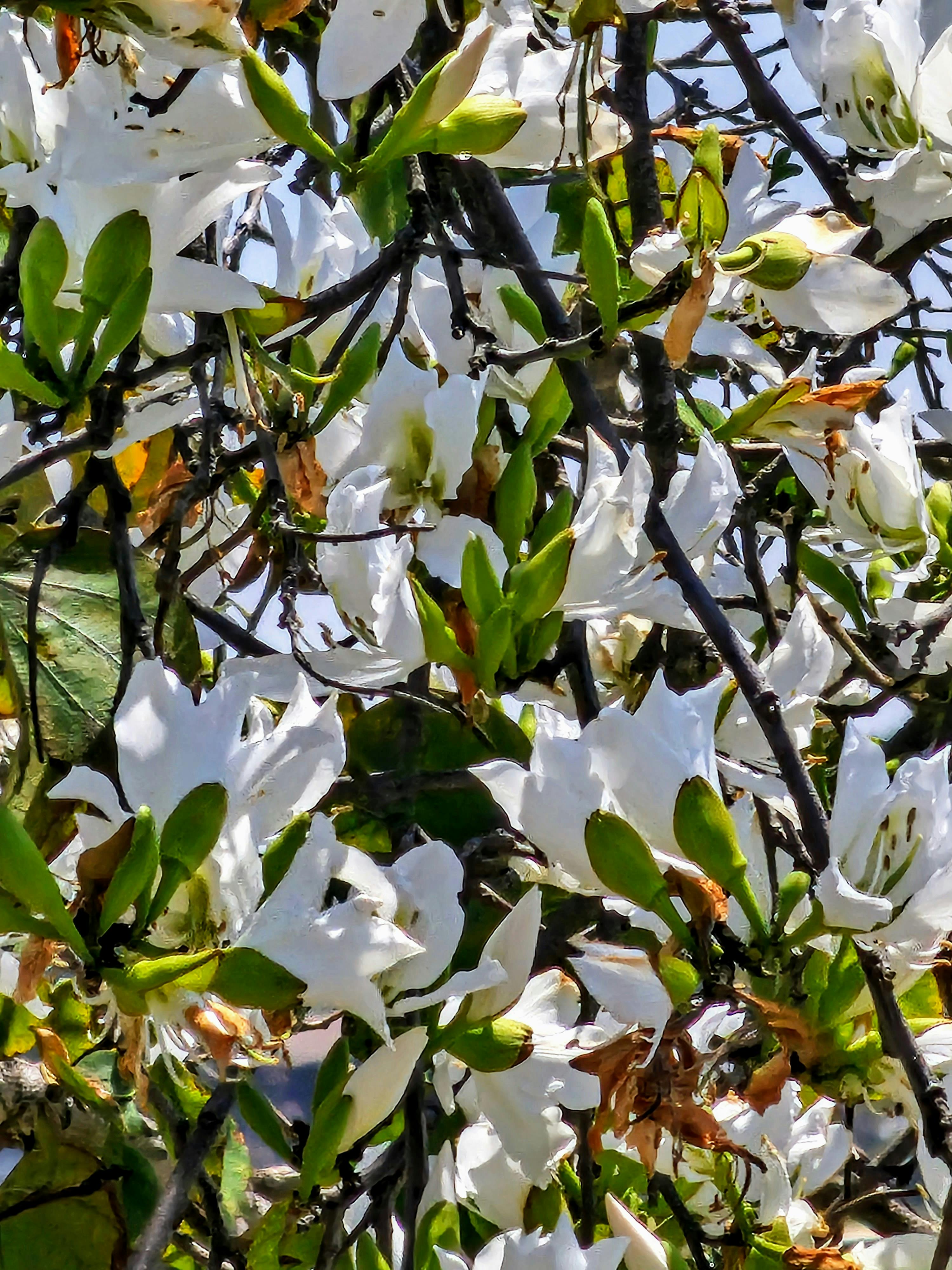 David A Landry - Photographie