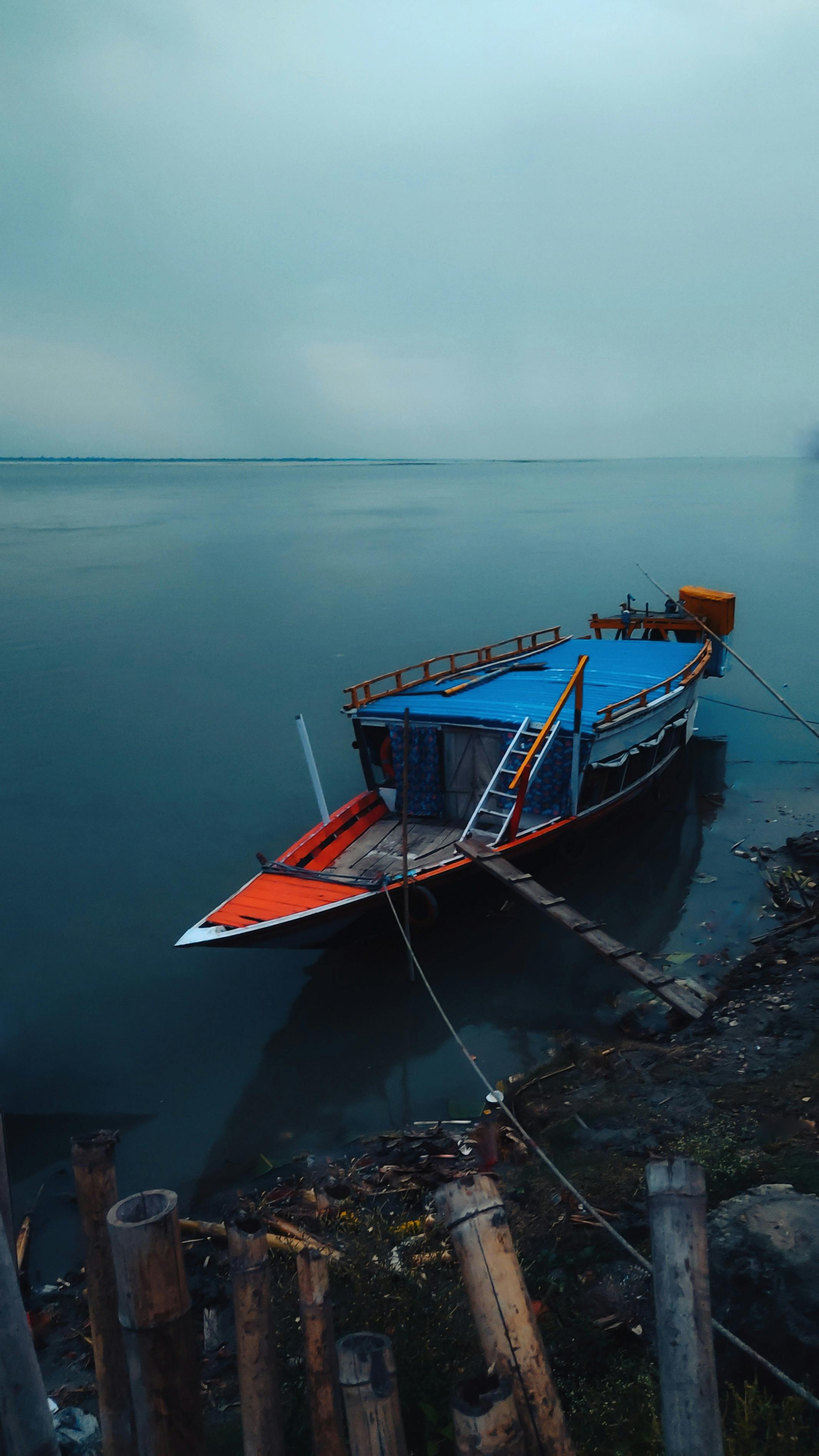 Fish Tales Photos, Download The BEST Free Fish Tales Stock Photos & HD ...