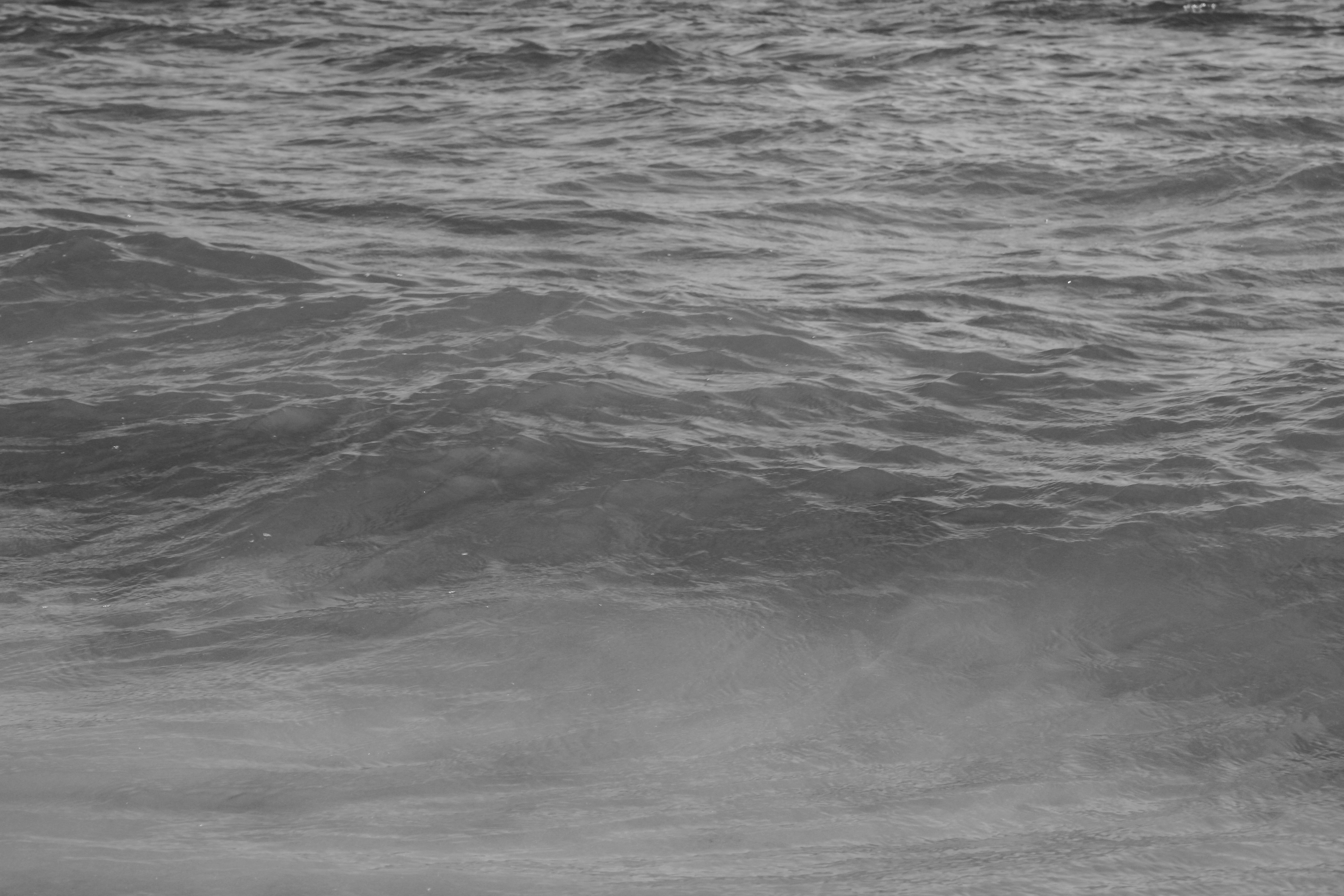 Grayscale Photo of Ocean Waves · Free Stock Photo