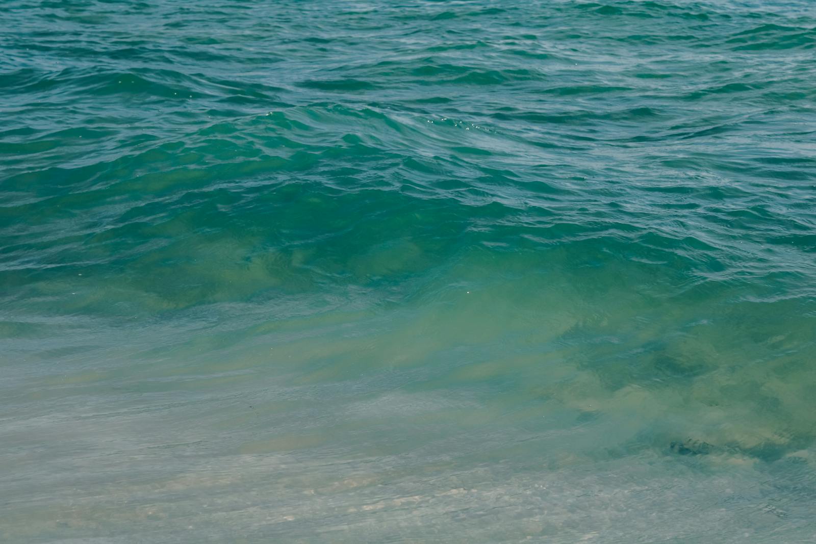 Flooding Photos, Download The BEST Free Flooding Stock Photos & HD Images