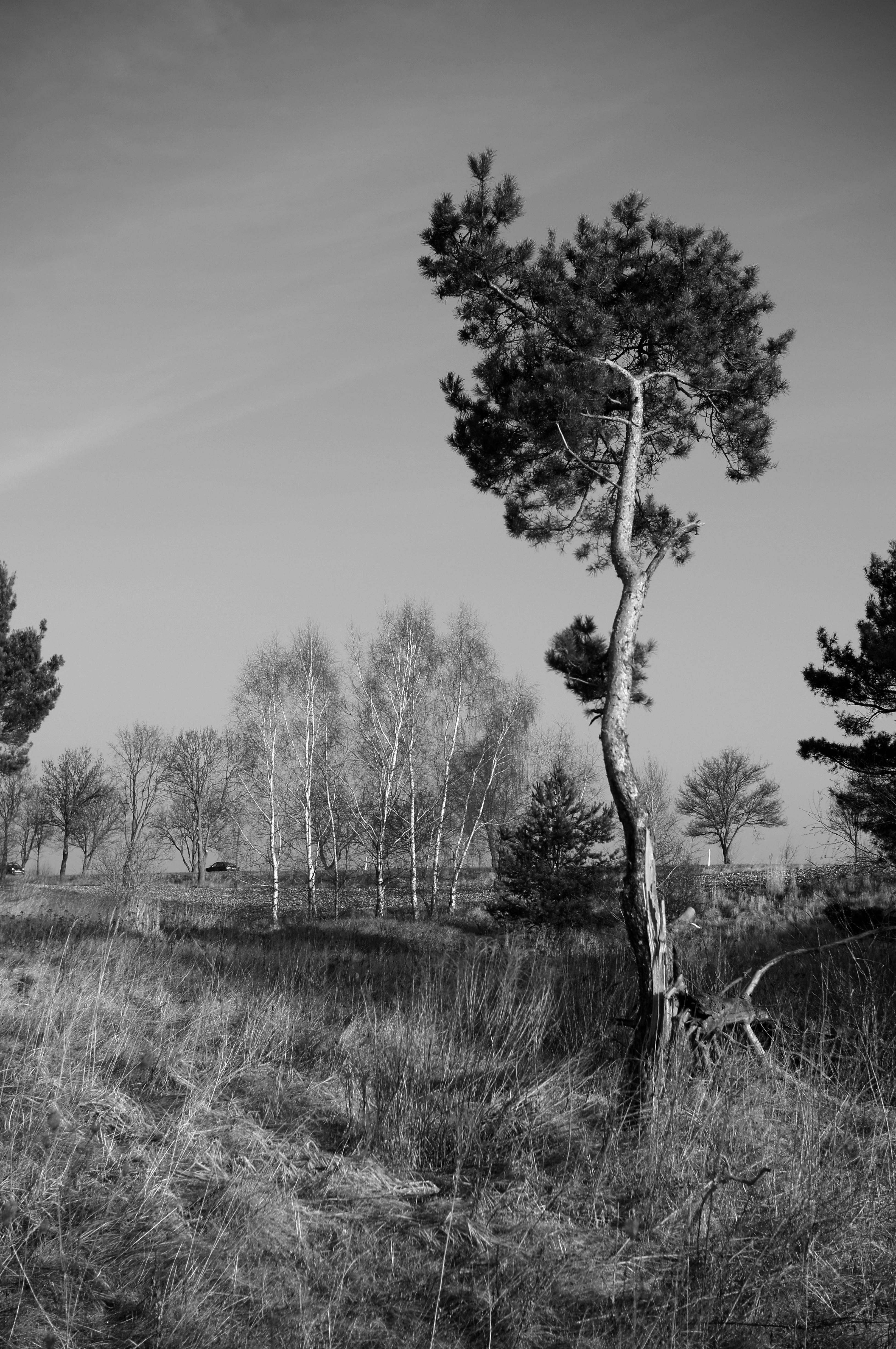 Cycle Paddle Photos, Download The BEST Free Cycle Paddle Stock Photos ...