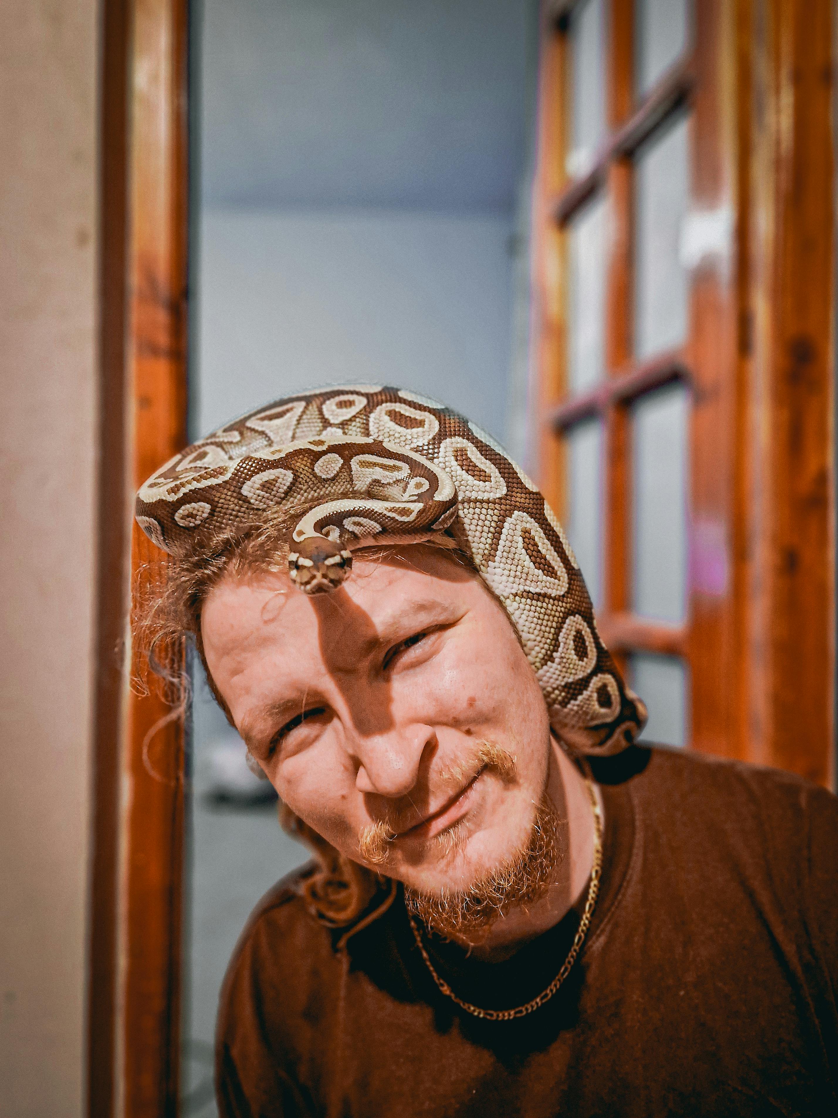 Snake on Man Head · Free Stock Photo