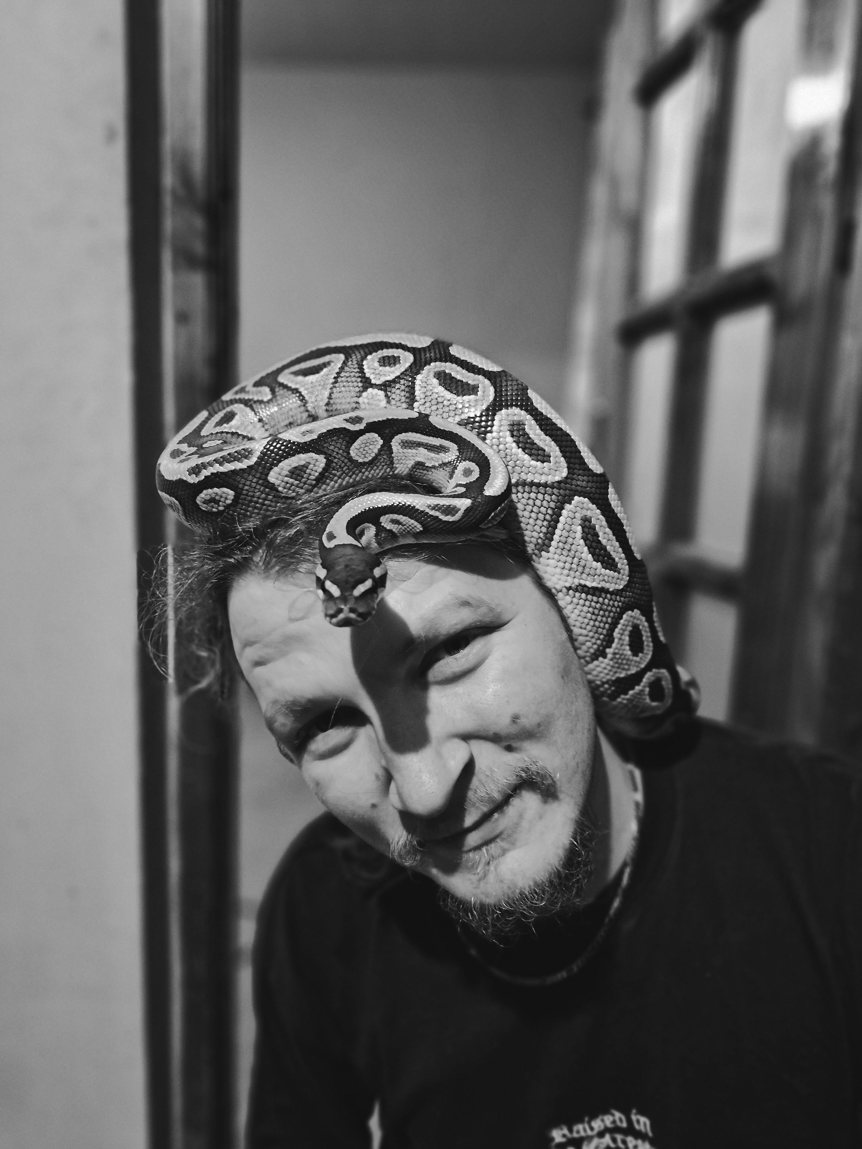 Man Posing with Snake on Head · Free Stock Photo