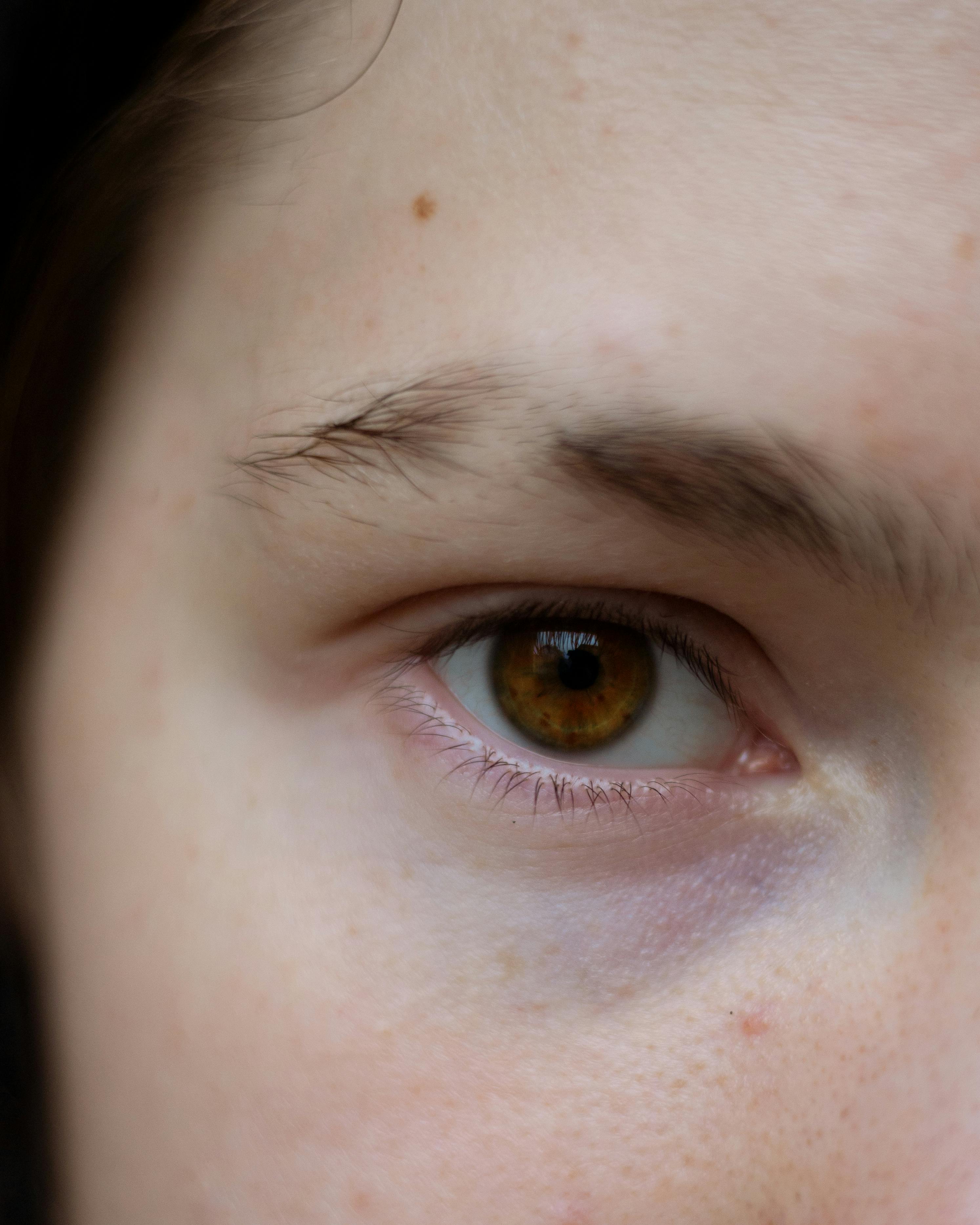 Close up of an Eye · Free Stock Photo