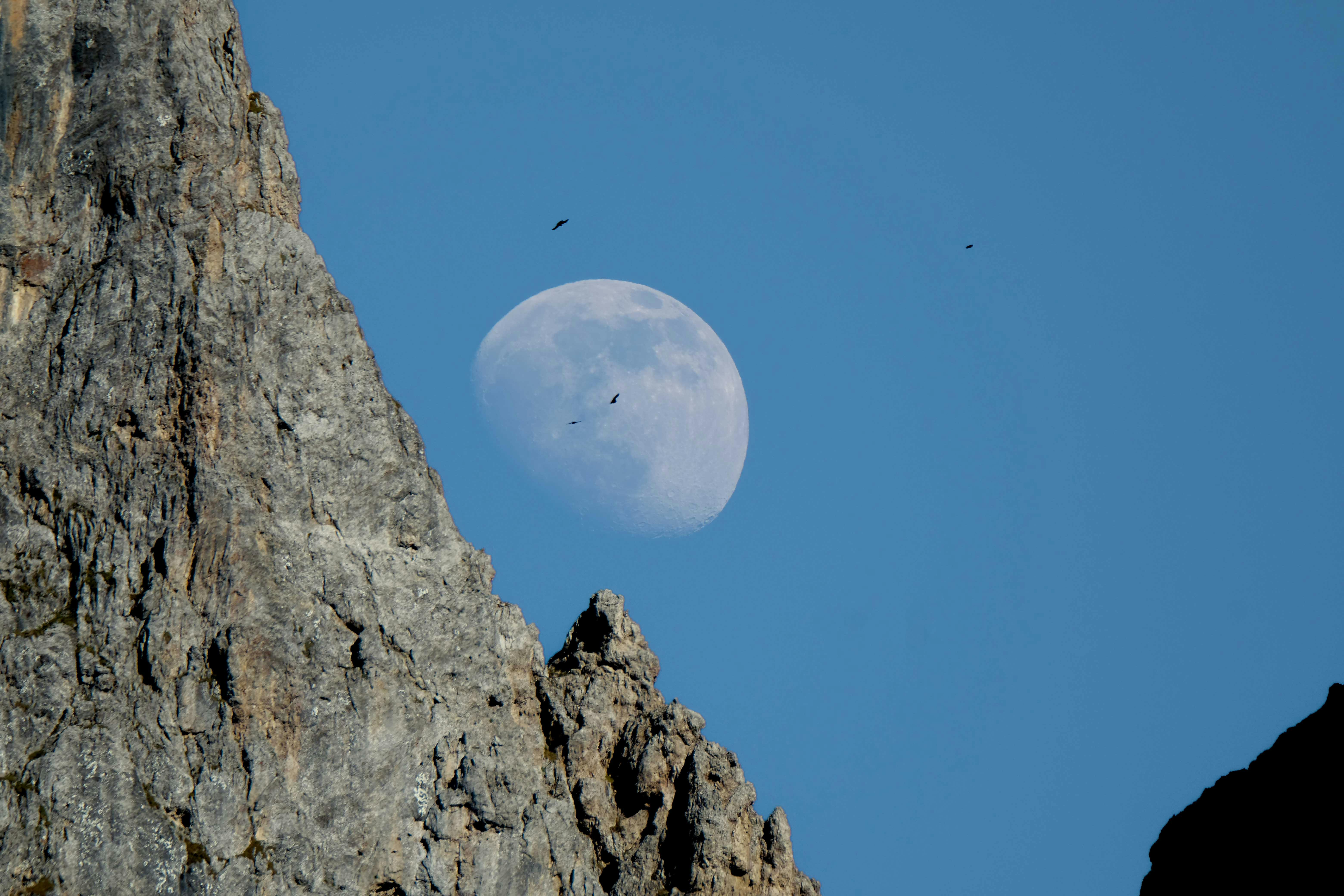Moon over the Mountains · Free Stock Photo