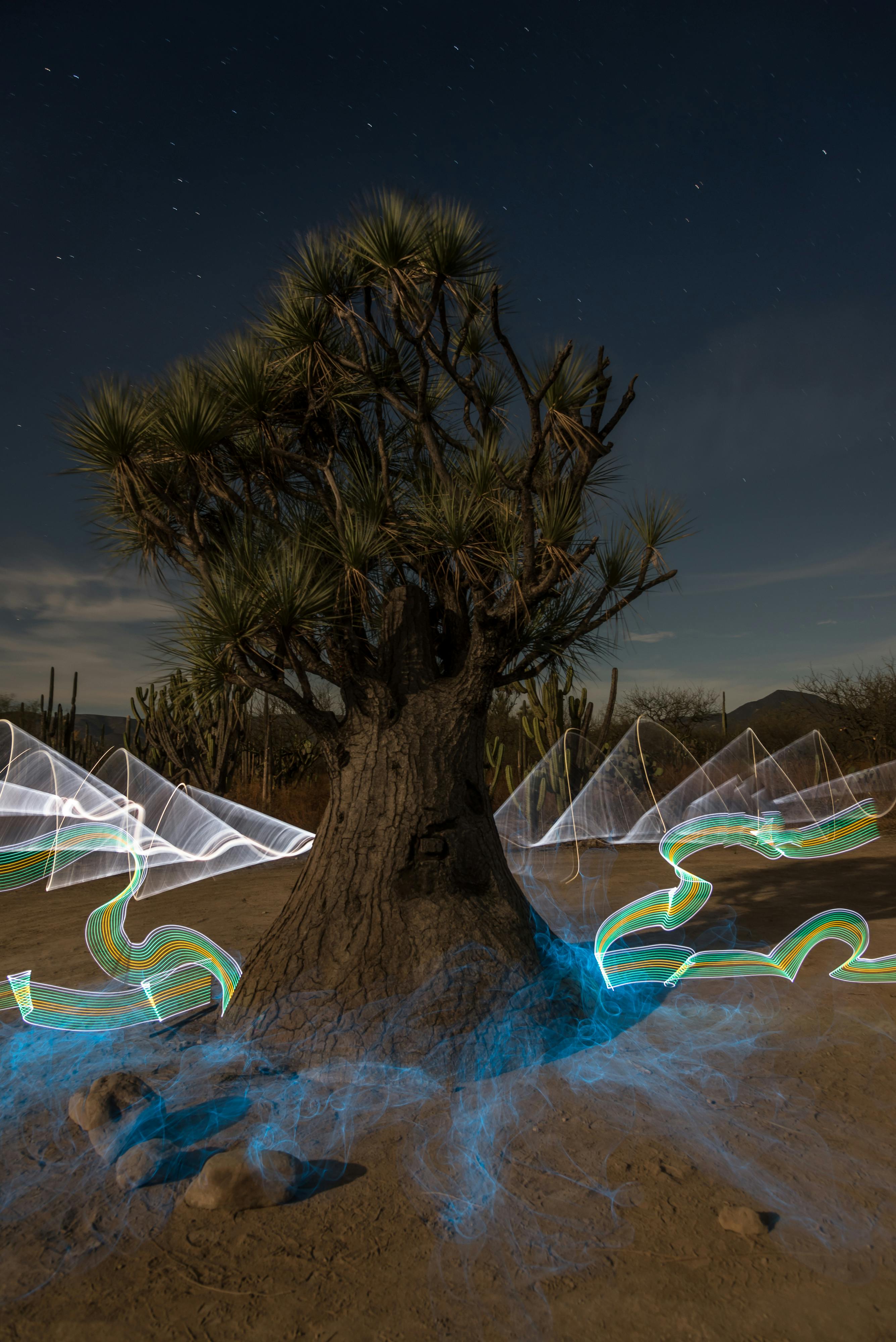 Ignacio Vargas - Photography