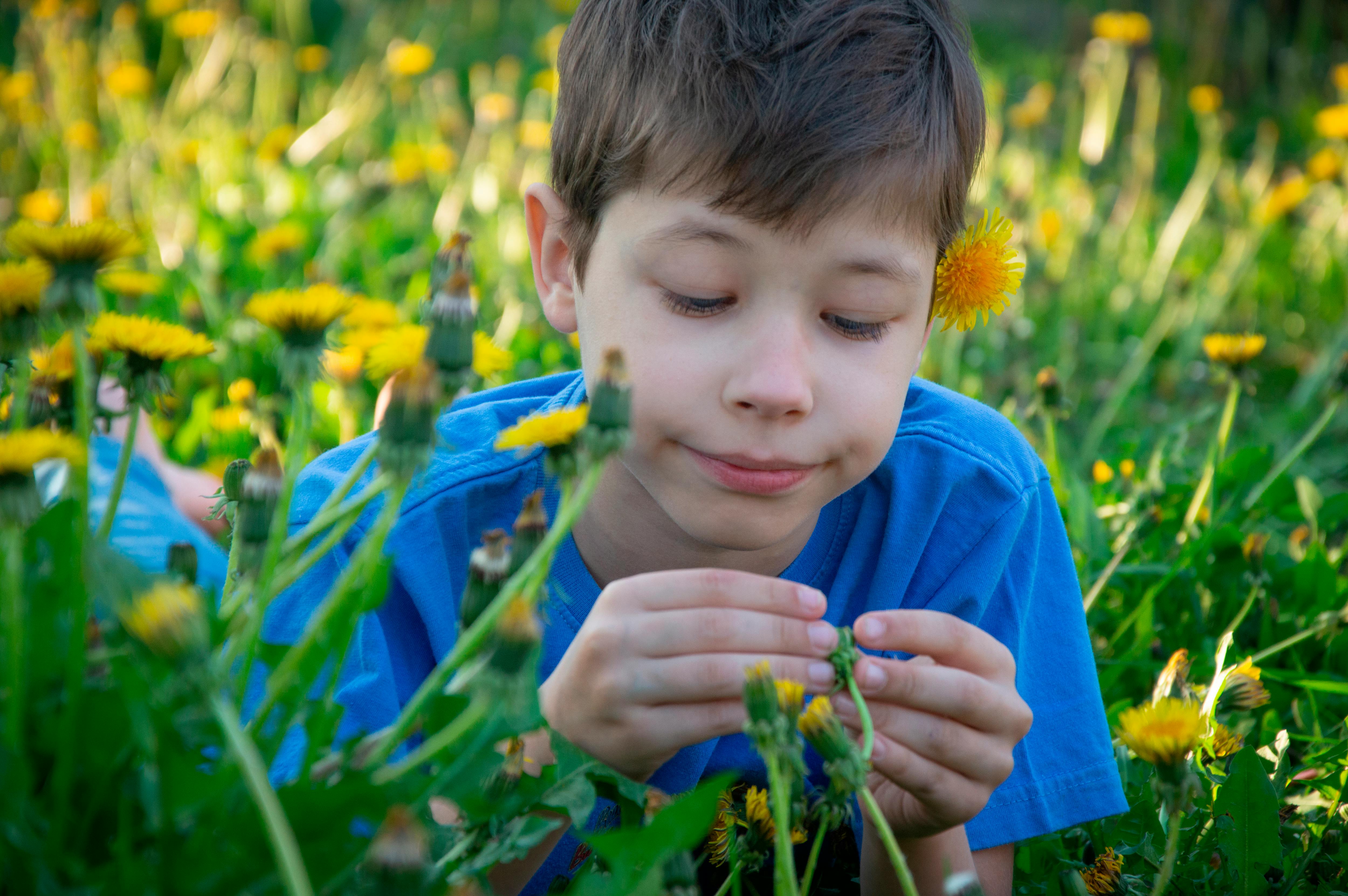 Kids In Garden Photos, Download The BEST Free Kids In Garden Stock ...